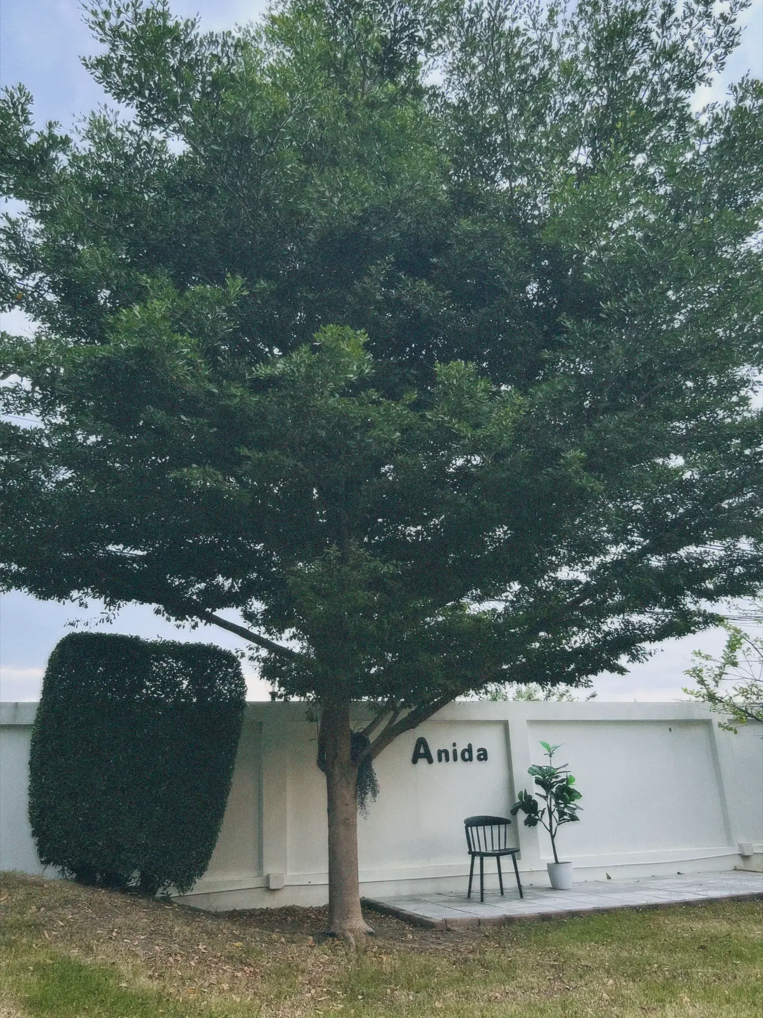 Anida Cafe | คาเฟ่สไตล์สวนอังกฤษ 🌲🎄 | แกลเลอรีที่โพสต์โดย 🥕 SEETREE 🍉 ...