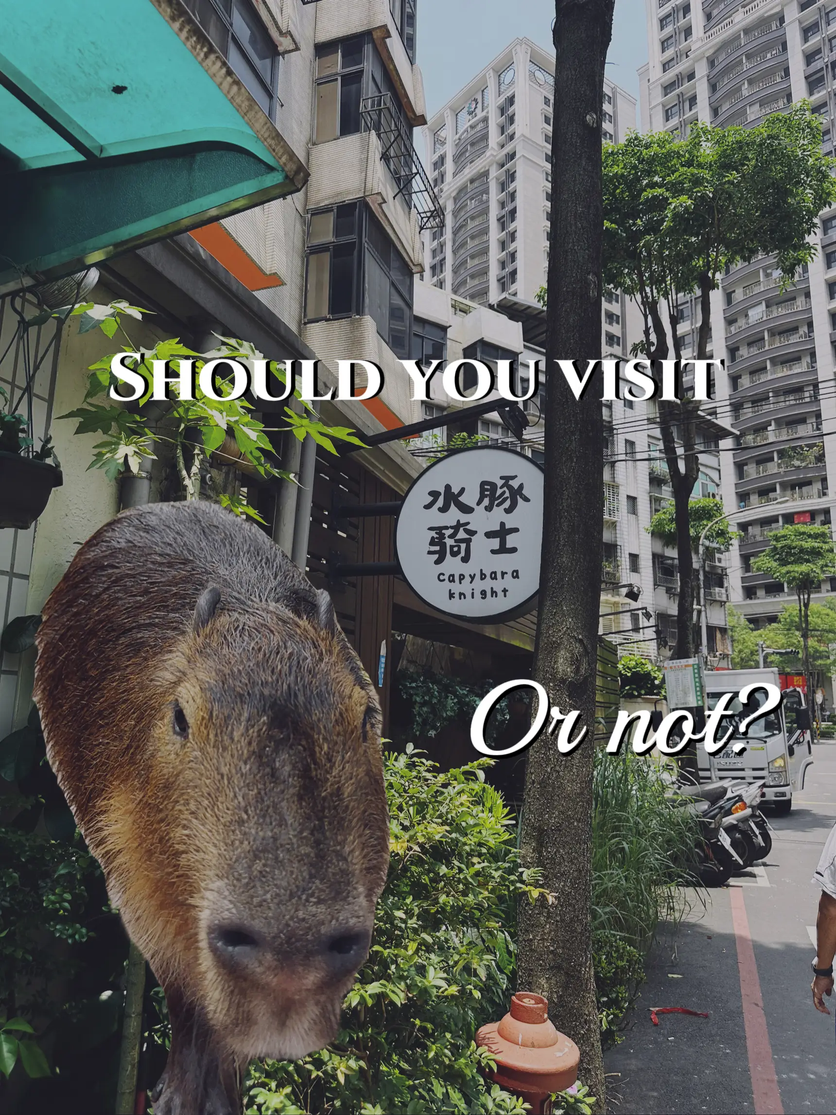 Honest Review of Capyba Cafe in JB | Gallery posted by Jographeylee ...