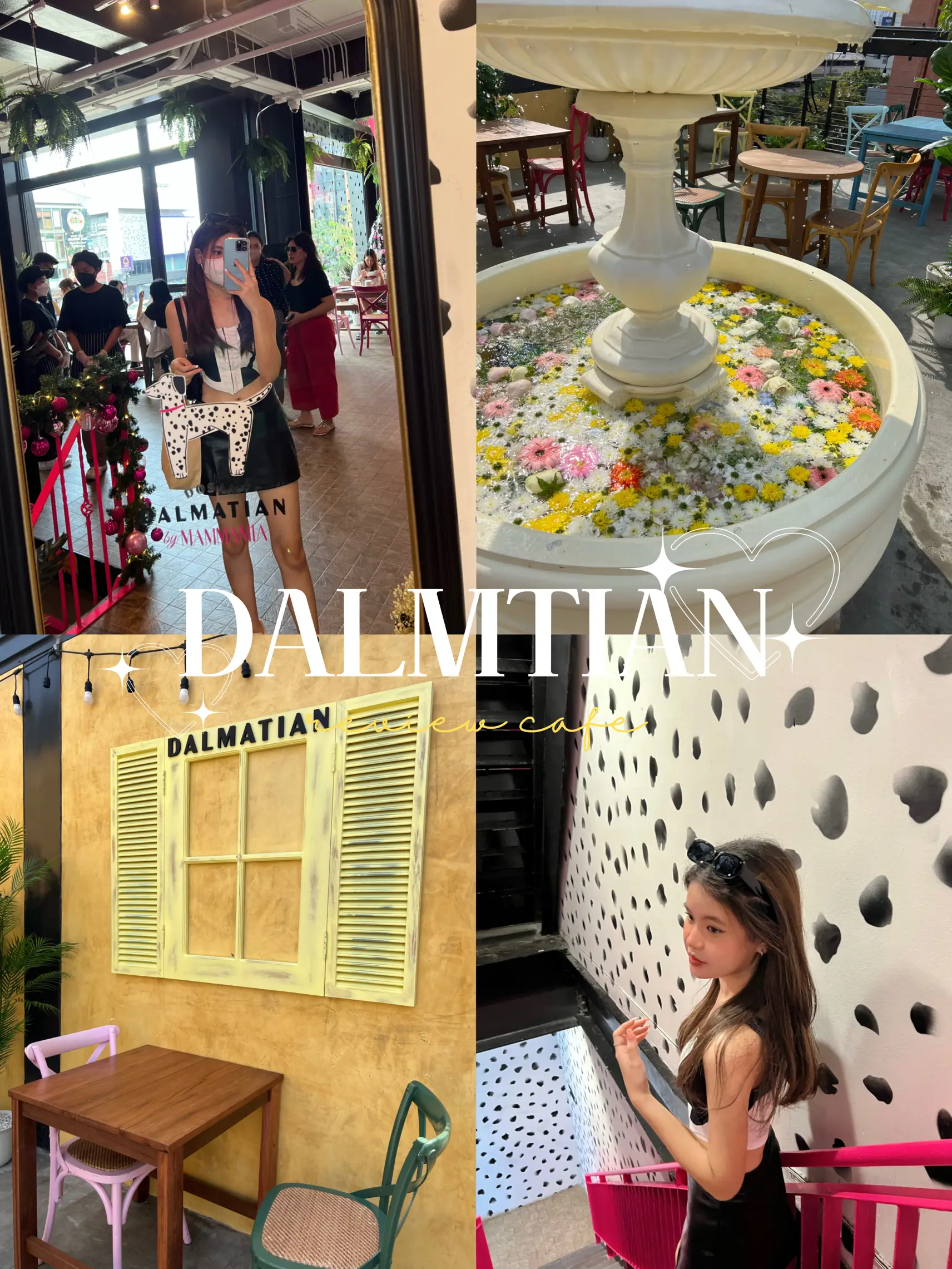 Dosan Dalmatian | คาเฟ่ส่งตรงจากเกาหลี ใจกลางสยาม🐕‍🦺💌 | แกลเลอรีที่โพสต์โดย ppangttp | Lemon8