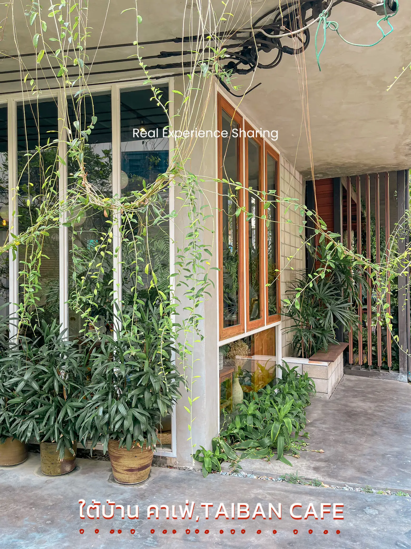 Under Home Cafe, TAIBAN CAFE BKK | Gallery posted by Ruji_pat | Lemon8