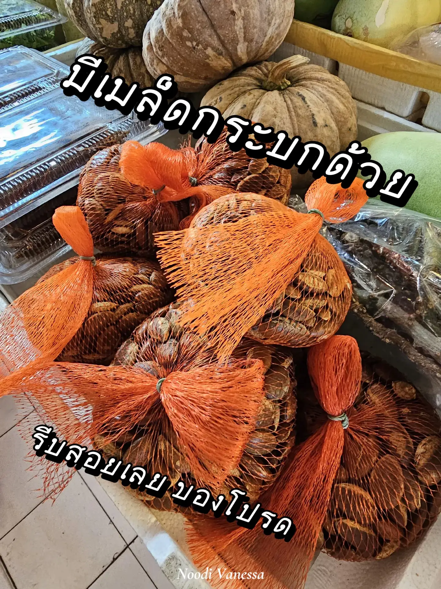 กินช้อป อตก. ต้นไม้ อาหารอร่อยๆ | แกลเลอรีที่โพสต์โดย noodi_vanessa ...