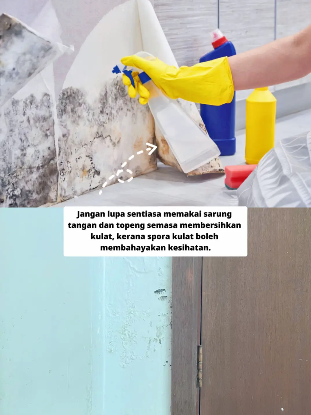 Cara hilangkan Kulat pada dinding rumah | Galeri disiarkan oleh ...