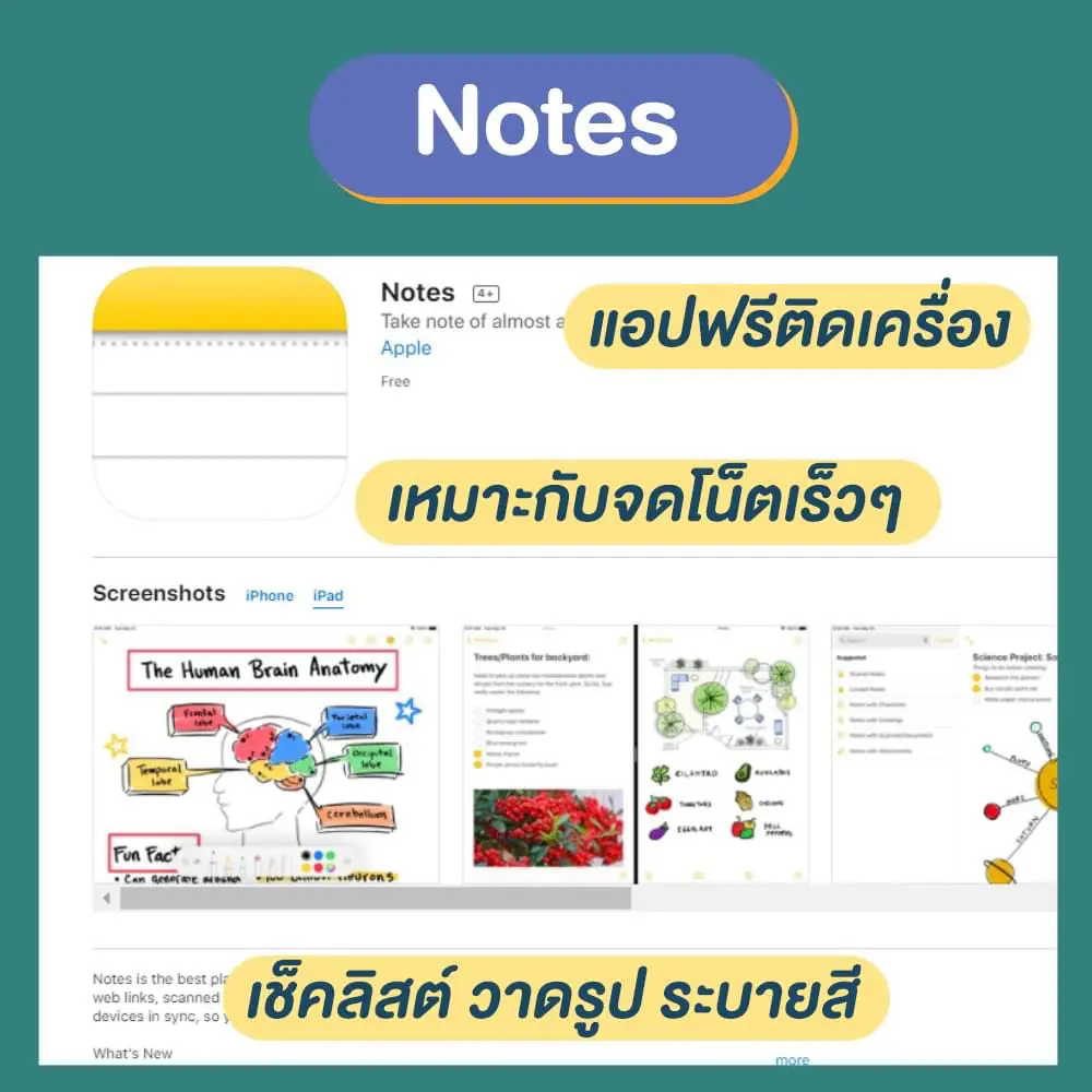 Bundle of 7 apps. Note in # ipad. It works anyway. 🏻 | Gallery posted ...