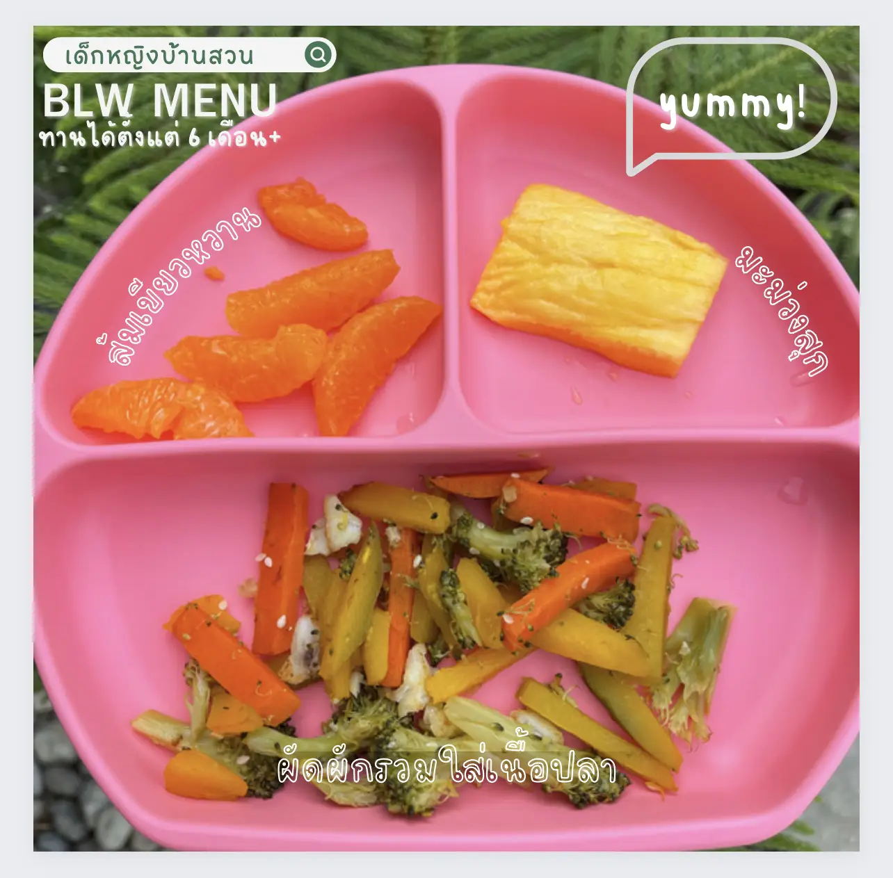 เมนูลูกรัก สาย BLW 6 เดือน+ 🍱 | แกลเลอรีที่โพสต์โดย เด็กหญิงบ้านสวน | Lemon8