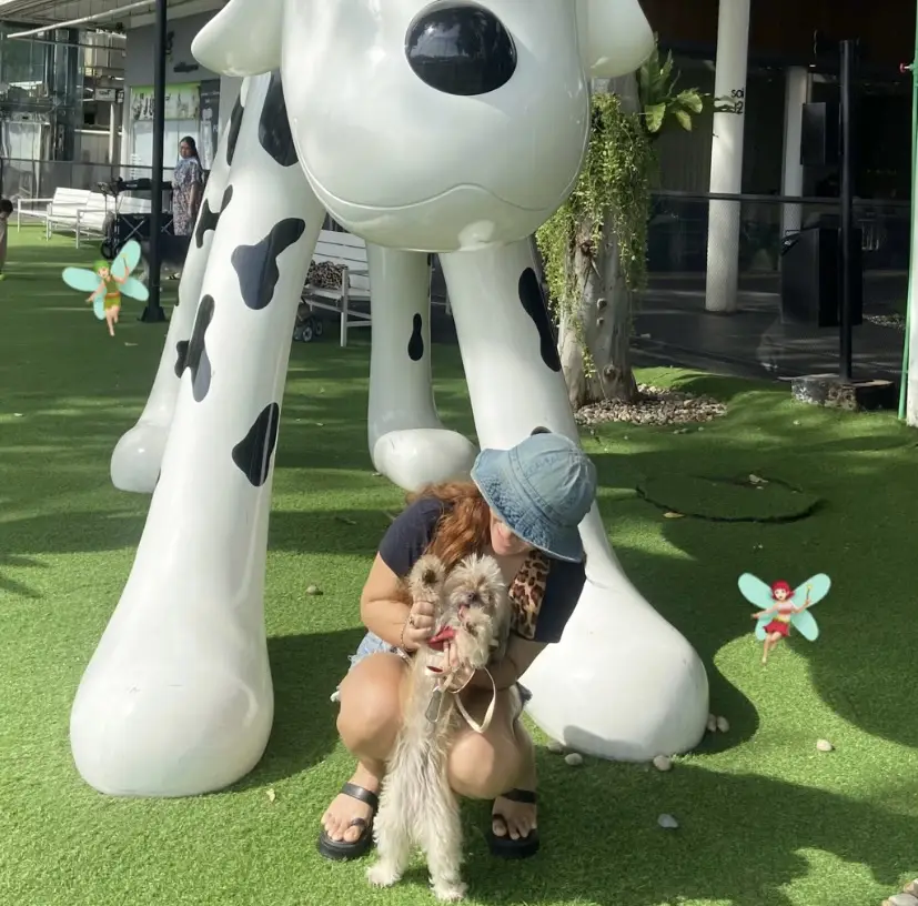 CDC Pet Park 💖🐾 พื้นที่ฟรีพาน้องหมาวิ่งเล่น | แกลเลอรีที่โพสต์โดย Rasarinrosielyn | Lemon8
