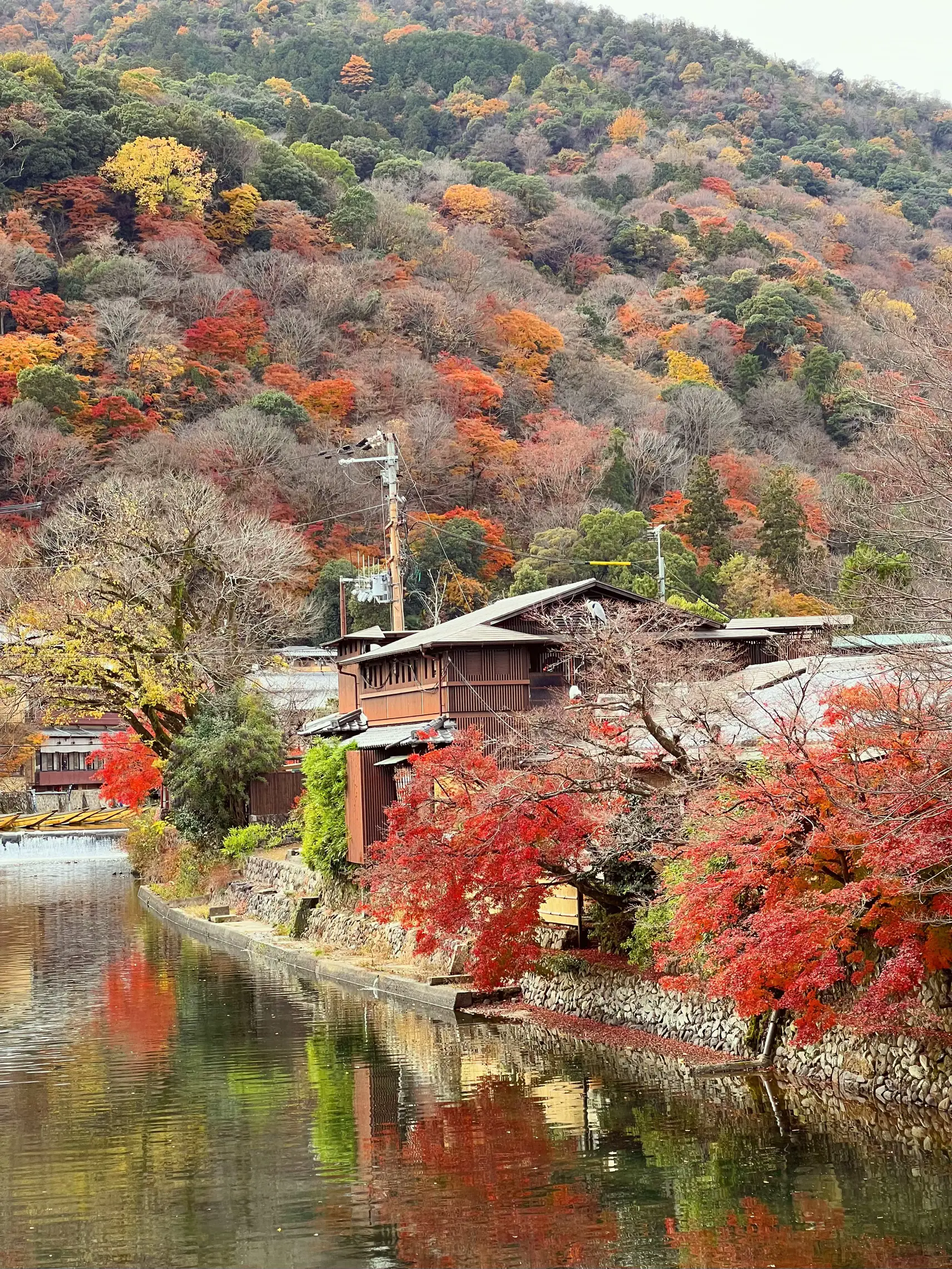 Arashiyama Kyoto | Gallery posted by Tiwa | Lemon8