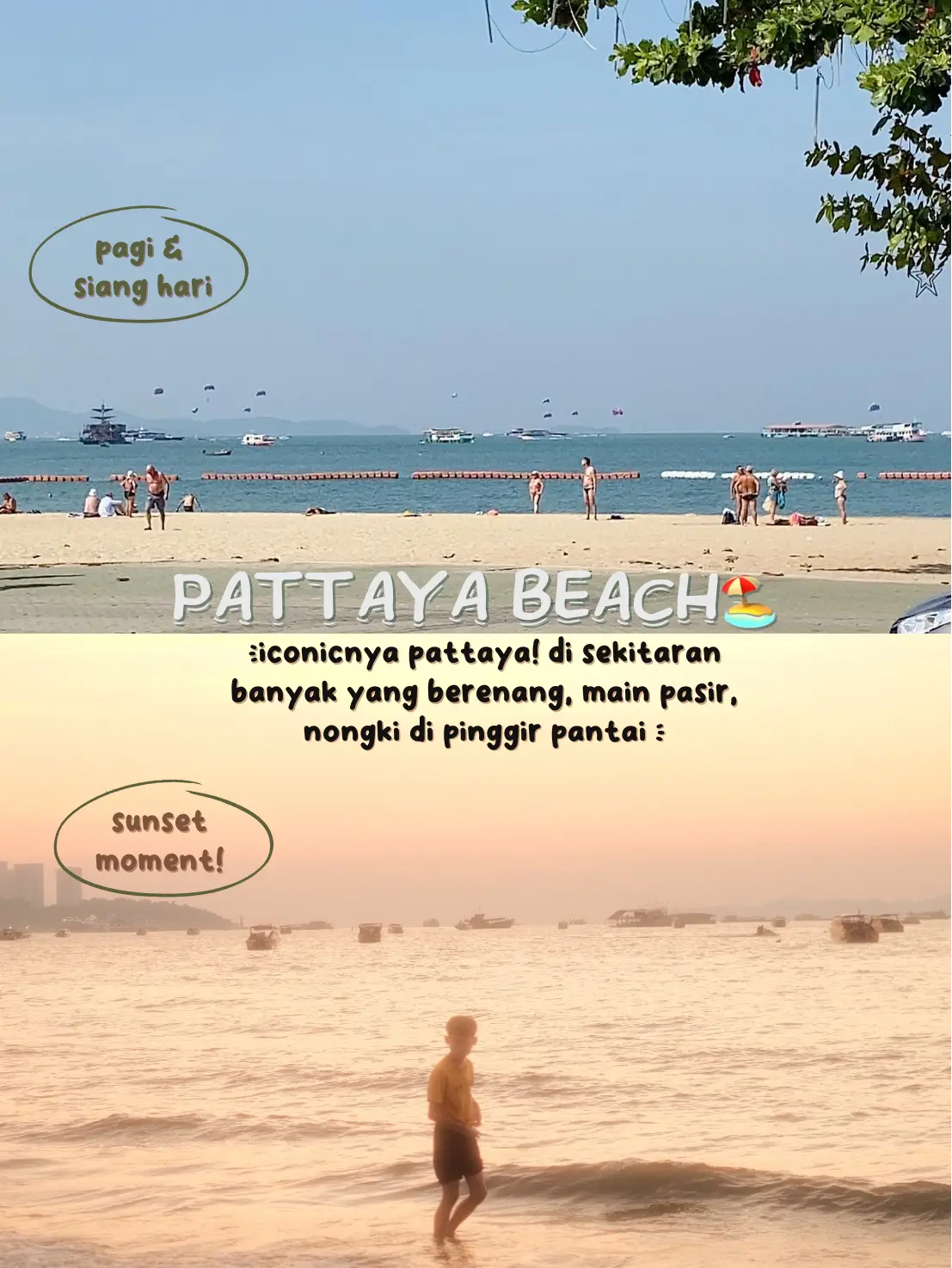 Pattaya - Pencarian Lemon8