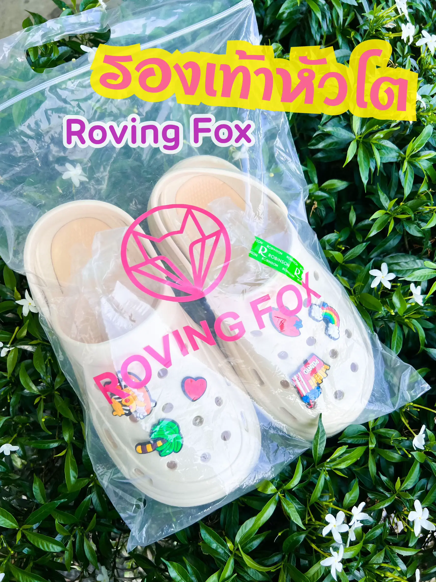 รองเท้า roving fox | แกลเลอรีที่โพสต์โดย บอกต่อ จ้าา | Lemon8