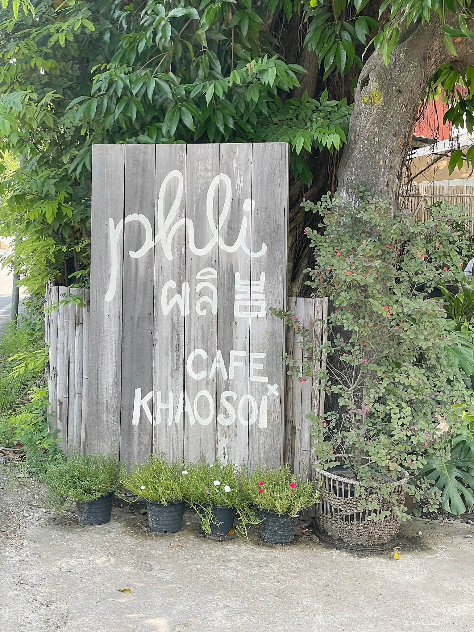 ผลิ | Phli : Cafe x Khao Soi คาเฟ่ฟีลเกาหลีสุดๆ 💖 | แกลเลอรีที่โพสต์โดย ...