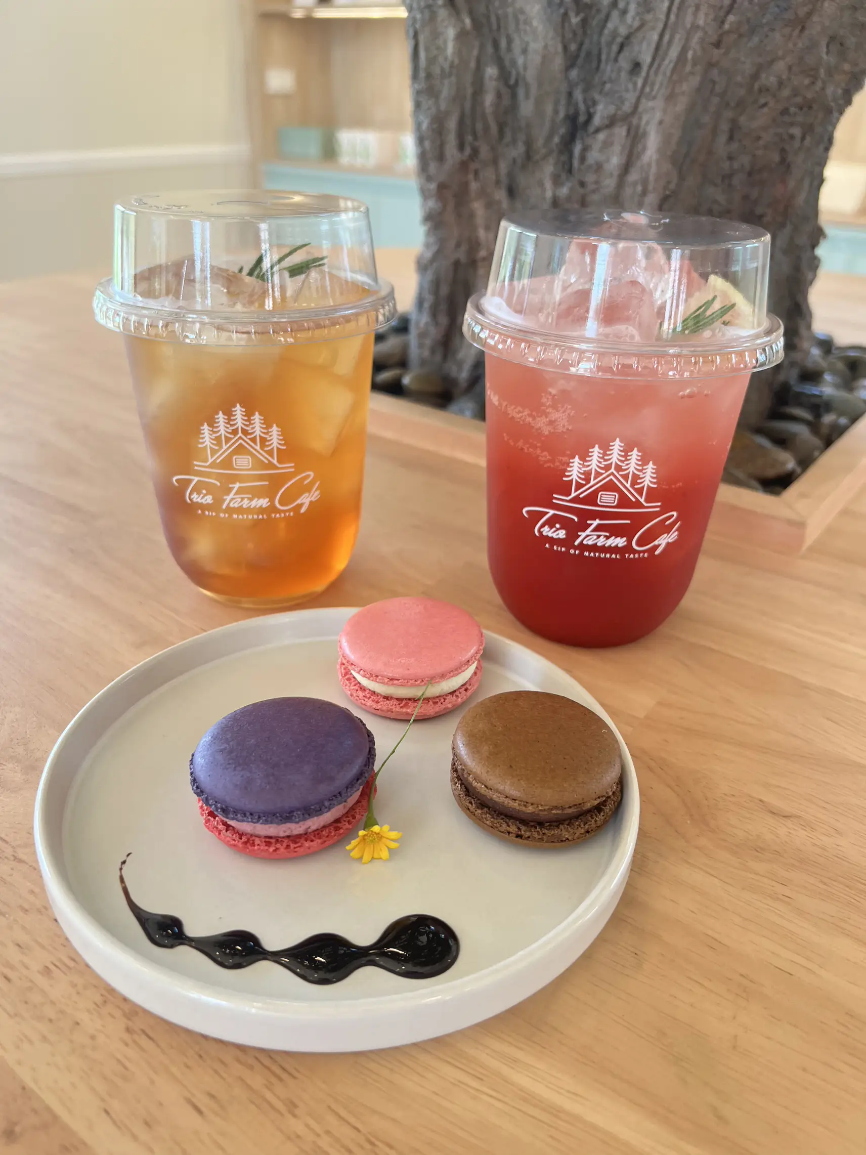 Trio_Farm_Cafe คาเฟ่ฟิวเขาใหญ่ @กาญจนบุรี | แกลเลอรีที่โพสต์โดย Ardy ️ ...