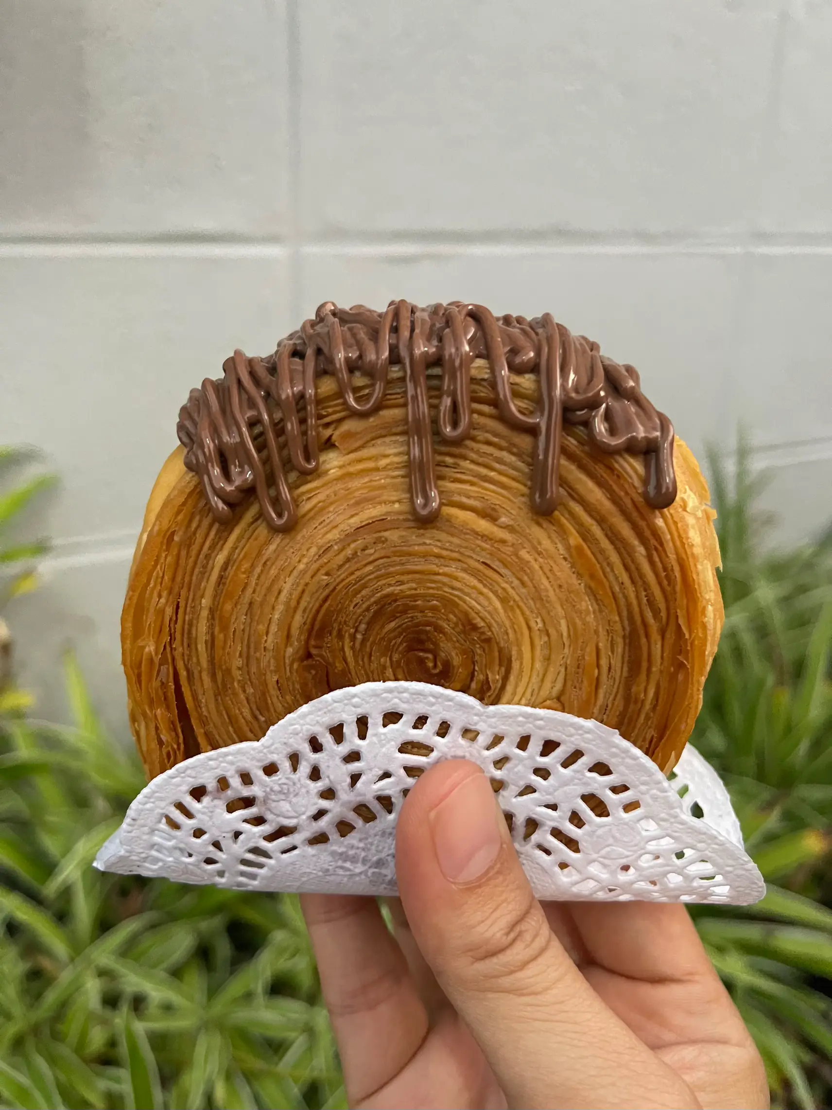 ทิมเบอร์ริงครั้งแรกของเรา | แกลเลอรีที่โพสต์โดย 📲Primmy💸📮 | Lemon8