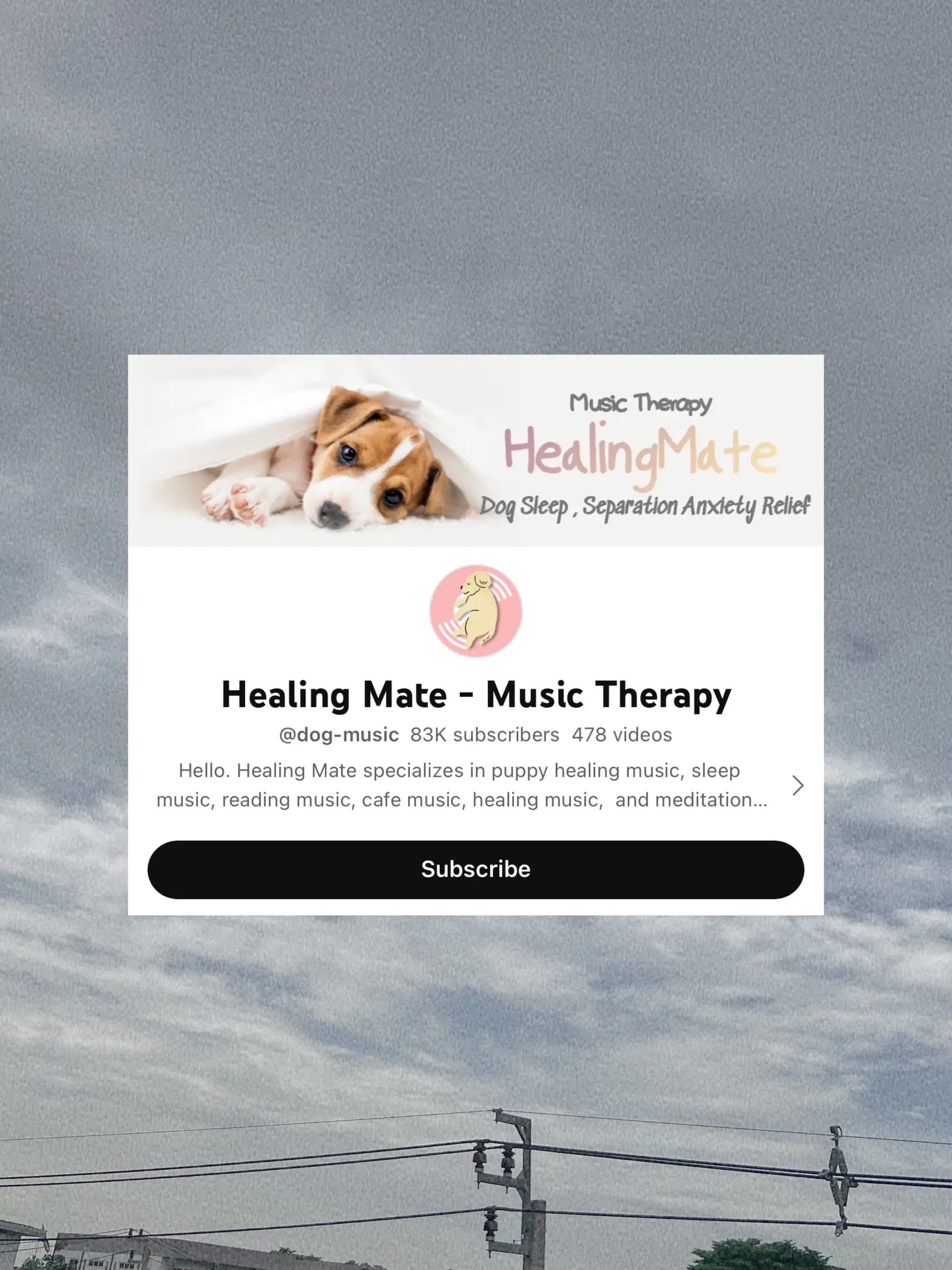 ดูอะไรตอนอ่านหนังสือ - การค้นหาใน Lemon8