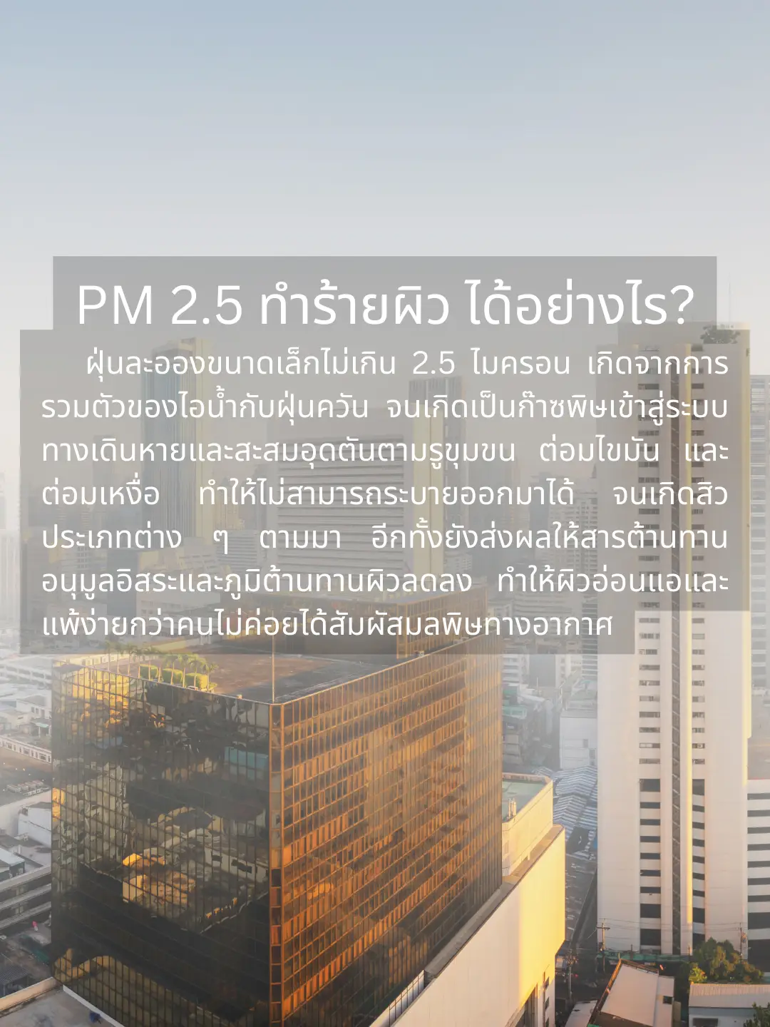 Pm 2.5 ทำร้ายผิวเราได้ยังไง? รักษายังไงดี? | แกลเลอรีที่โพสต์โดย mmadmees | Lemon8