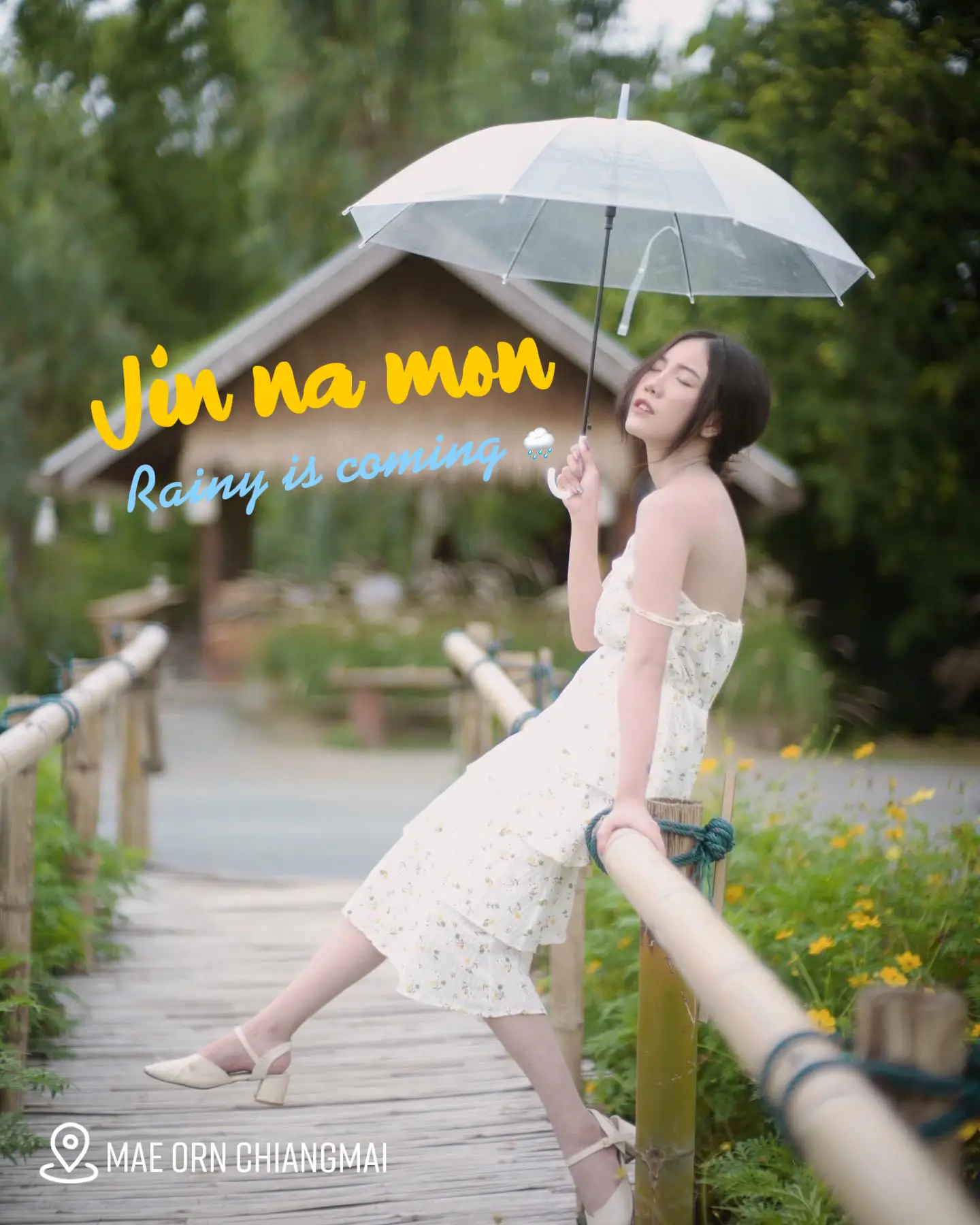 Jin na mon สวนดอกไม้ในป่าใหญ่ 🌼 | แกลเลอรีที่โพสต์โดย 𝗡𝗮𝘁𝗲𝗲 𝑖𝑠 𝙃𝙖𝙥𝙥𝙮🌻 | Lemon8