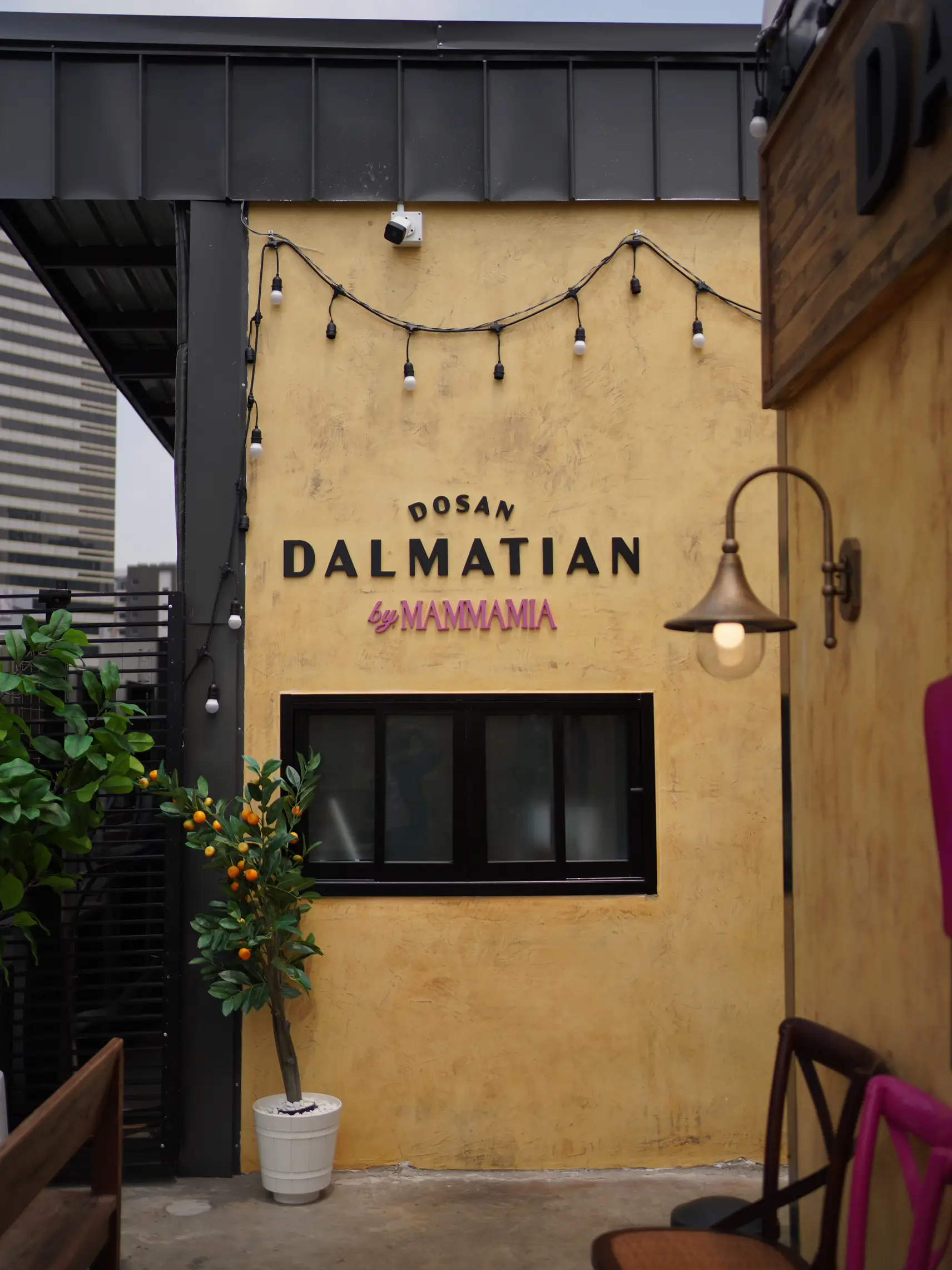 Dalmatian 달마시안 Siam Square Block | แกลเลอรีที่โพสต์โดย TravelTogether ...