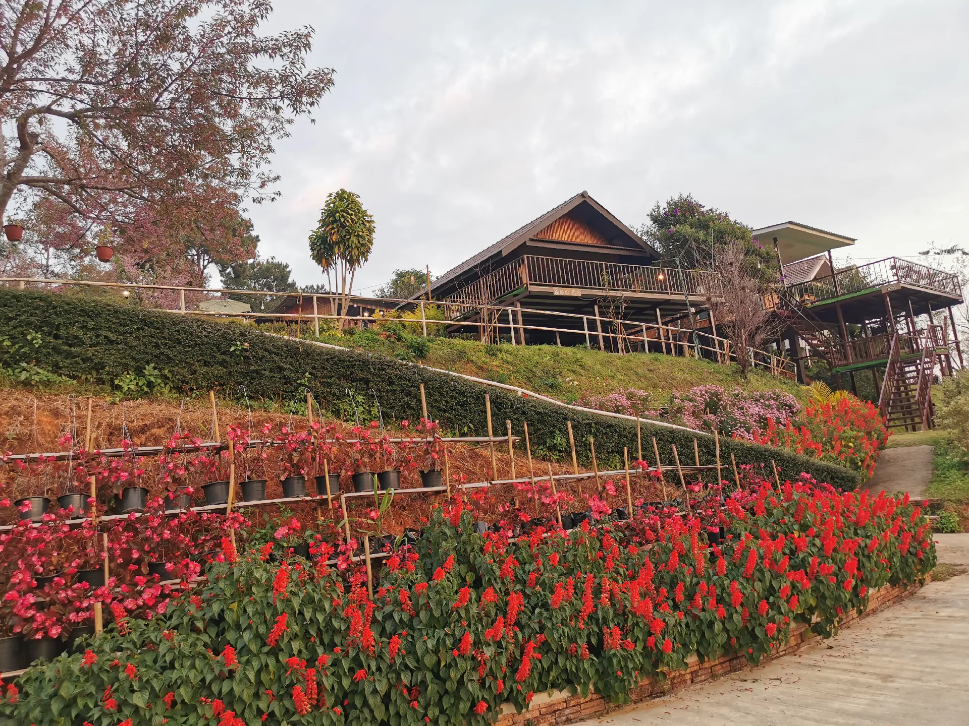 เดอะอินทนนท์วัลเล่ย์ ที่พักบรรยากาศธรรมชาติจ้า | แกลเลอรีที่โพสต์โดย Lhee ^^ | Lemon8