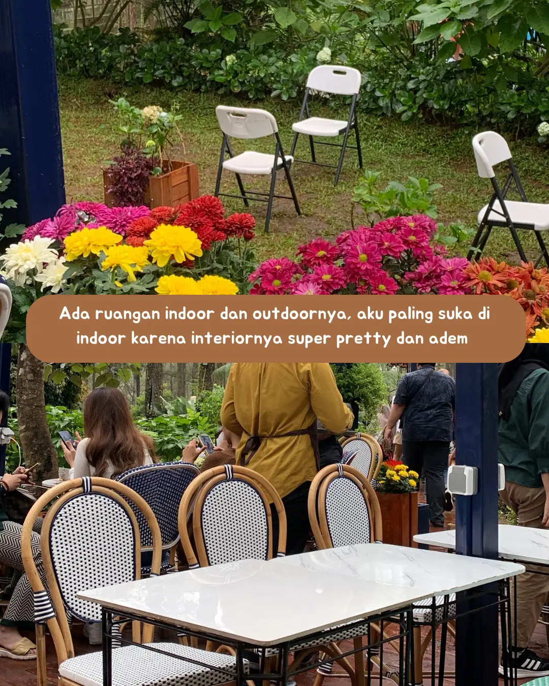 Ngeteh dengan View Hutan Pinus! Secantik ini?!🤍🌸 | Galeri diposting oleh sally | Lemon8