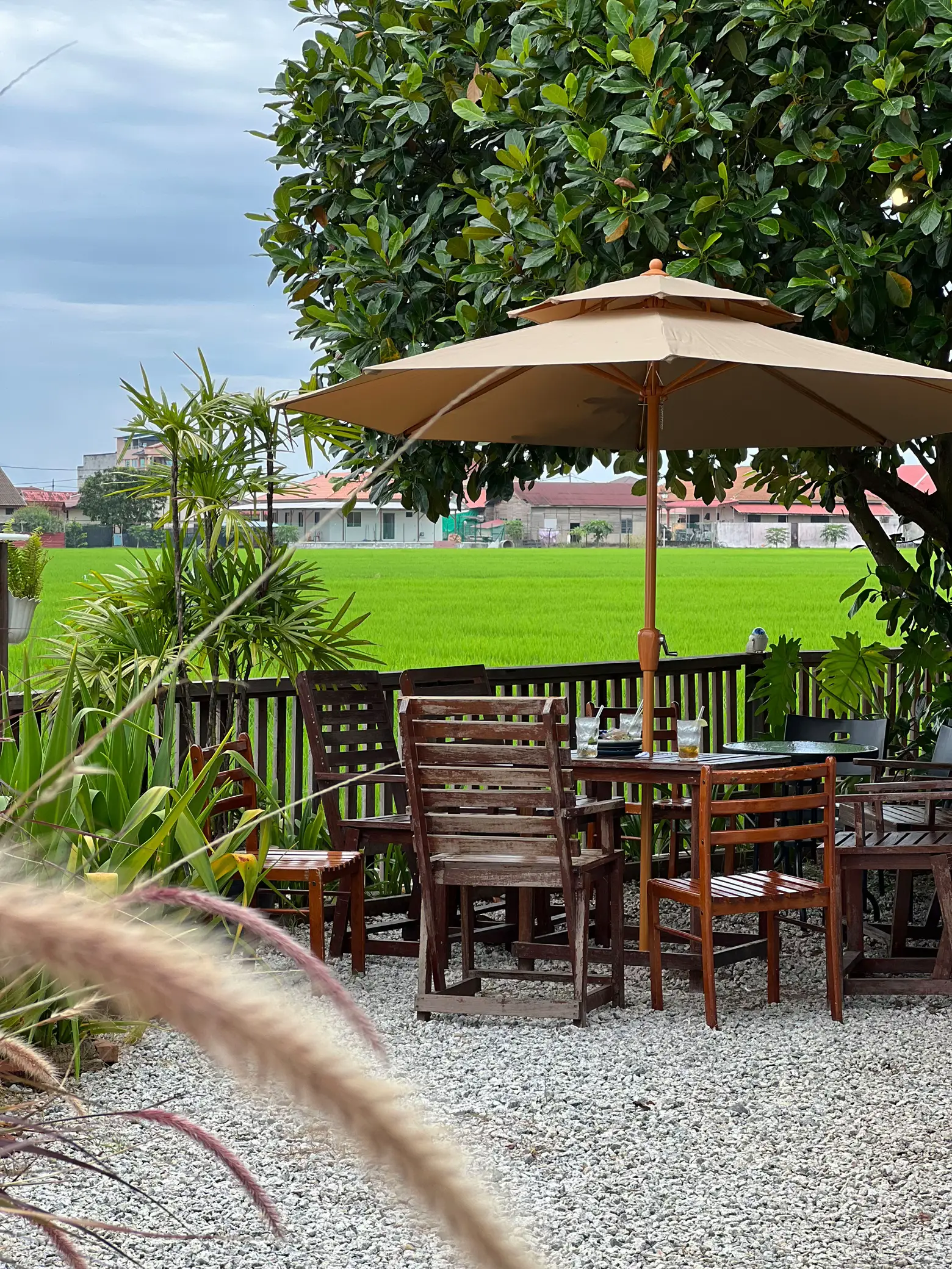 Most pretty cafe at Sekinchan | Hay Paddy | แกลเลอรีที่โพสต์โดย I’m cafe addict | Lemon8