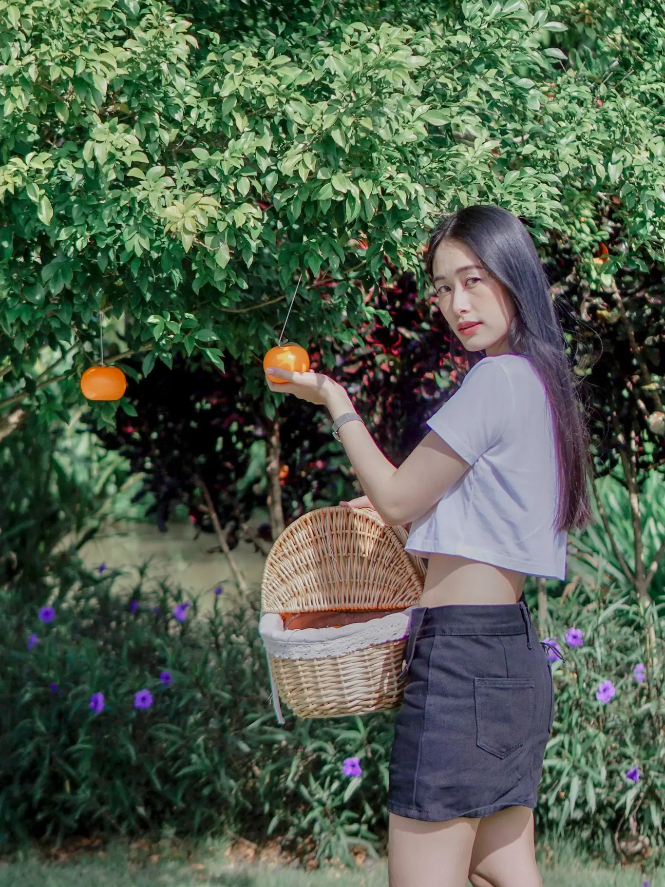 Montreux cafe' and farm 🍊🌵 | แกลเลอรีที่โพสต์โดย Ben Benchawan | Lemon8