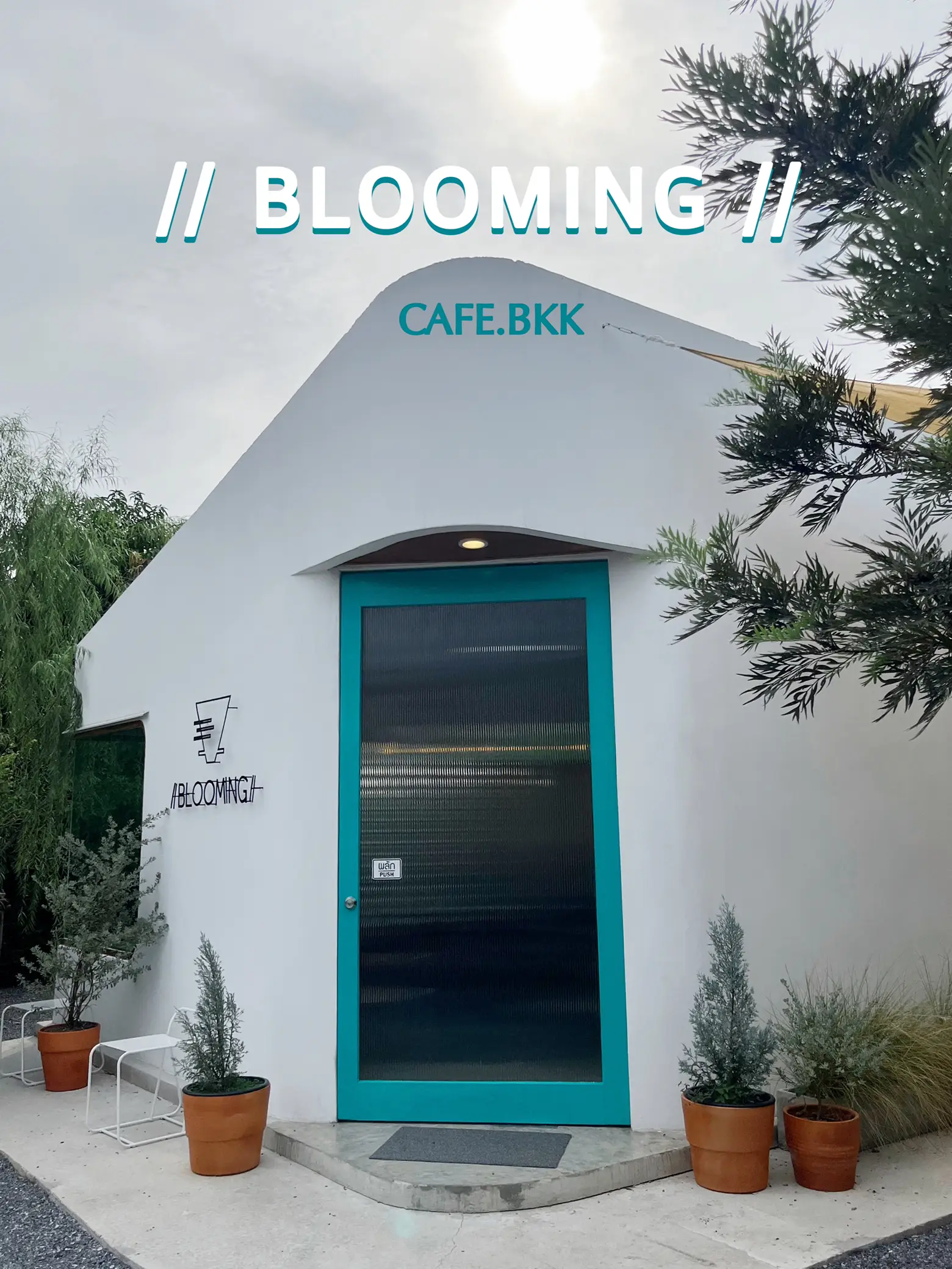 // 𝗕𝗟𝗢𝗢𝗠𝗜𝗡𝗚 𝗖𝗔𝗙𝗘 // 🪑🌳#สวนผัก #ตลิ่งชัน | แกลเลอรีที่โพสต์โดย TripTamJai | Lemon8