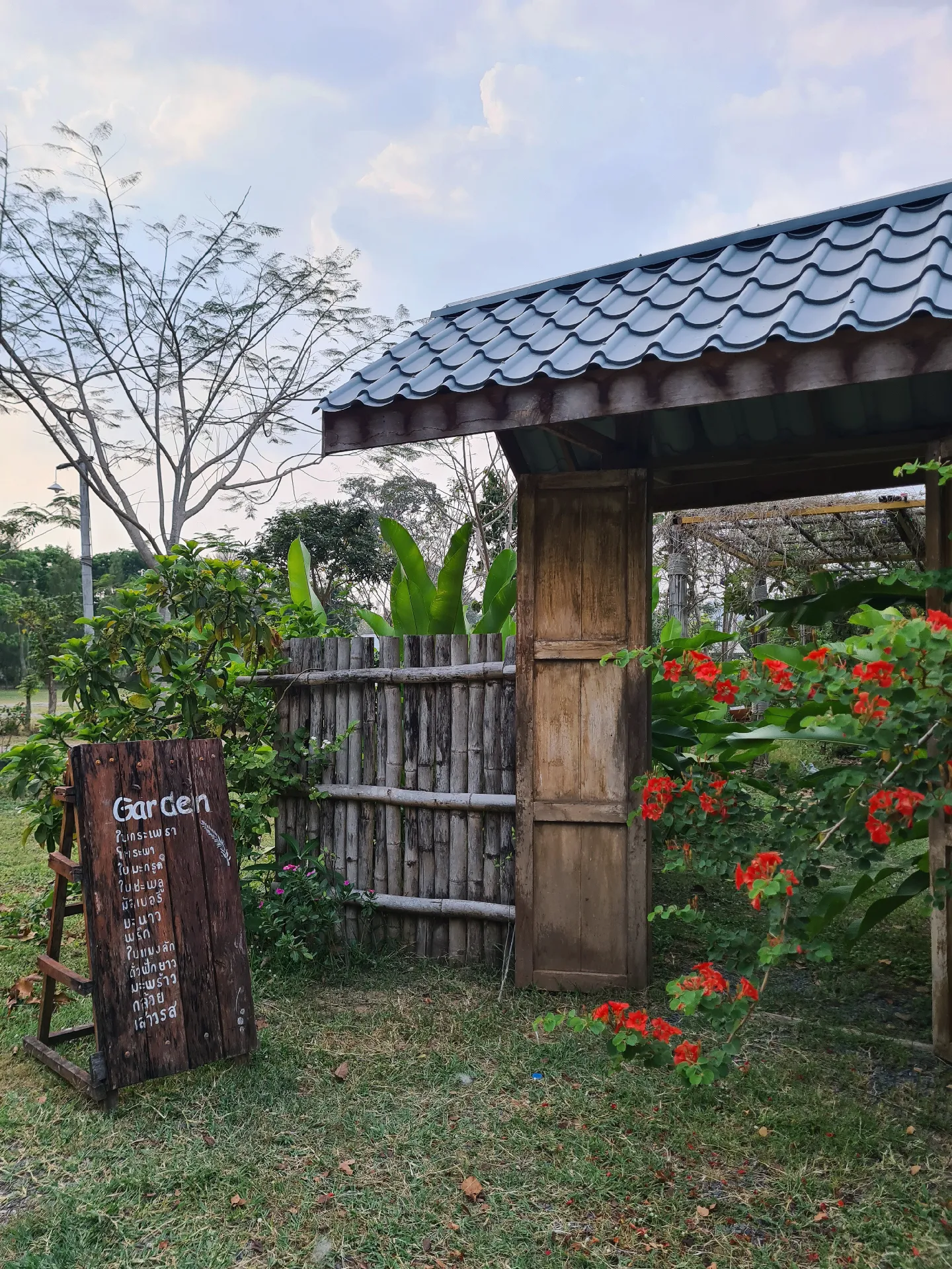 บ้านไร่ 3 พอ ปากช่อง เขาใหญ่ | Gallery posted by Biwty | Lemon8