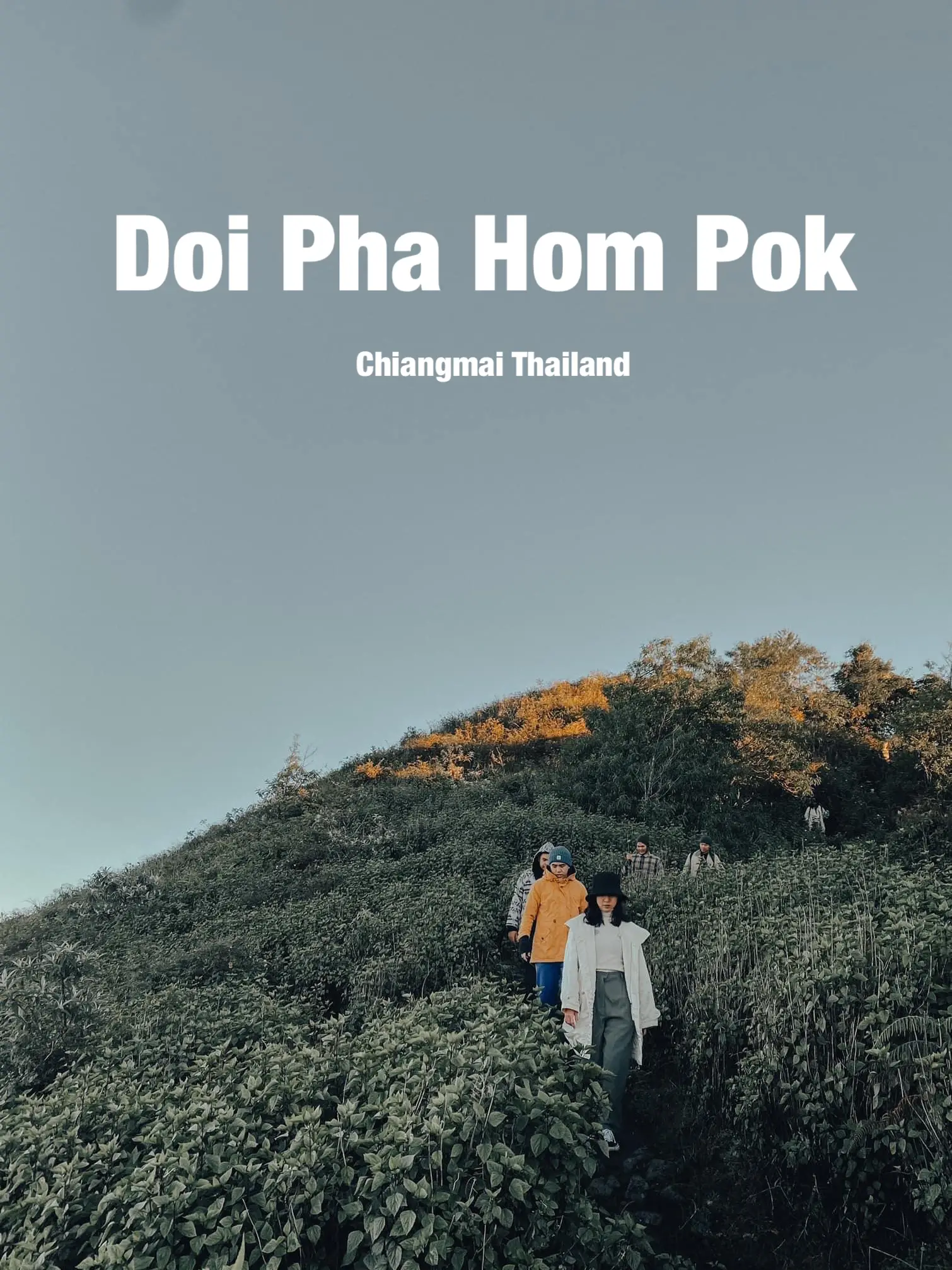 ดอยผ้าห่มปก ที่สุดของความหนาว | แกลเลอรีที่โพสต์โดย Nit Niramon | Lemon8