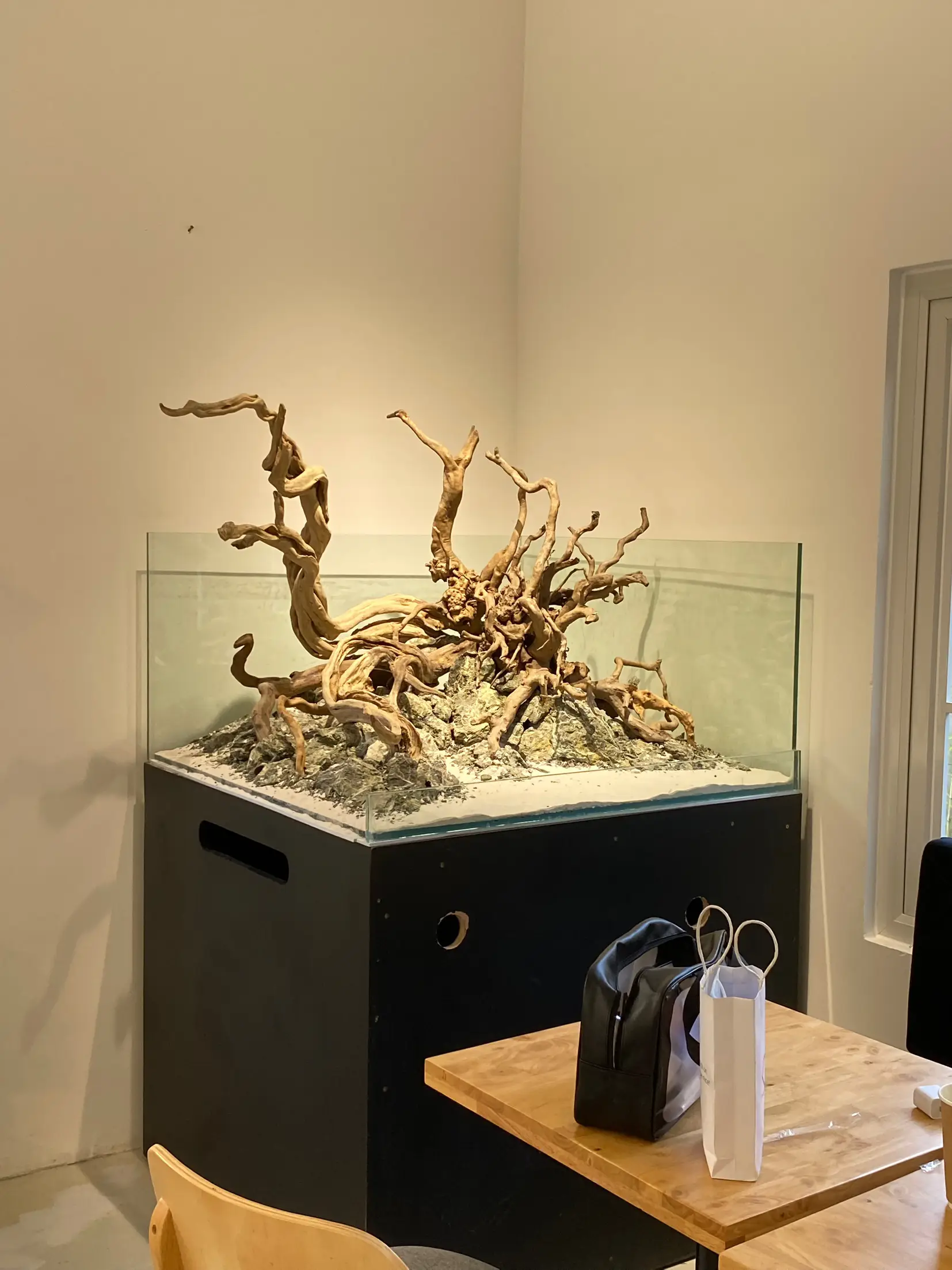 ️ASNAM COFFEE- QUÁN CF MỚI MỞ Ở THỦ ĐỨC ️ | Bộ sưu tập do Thy Huyen ...