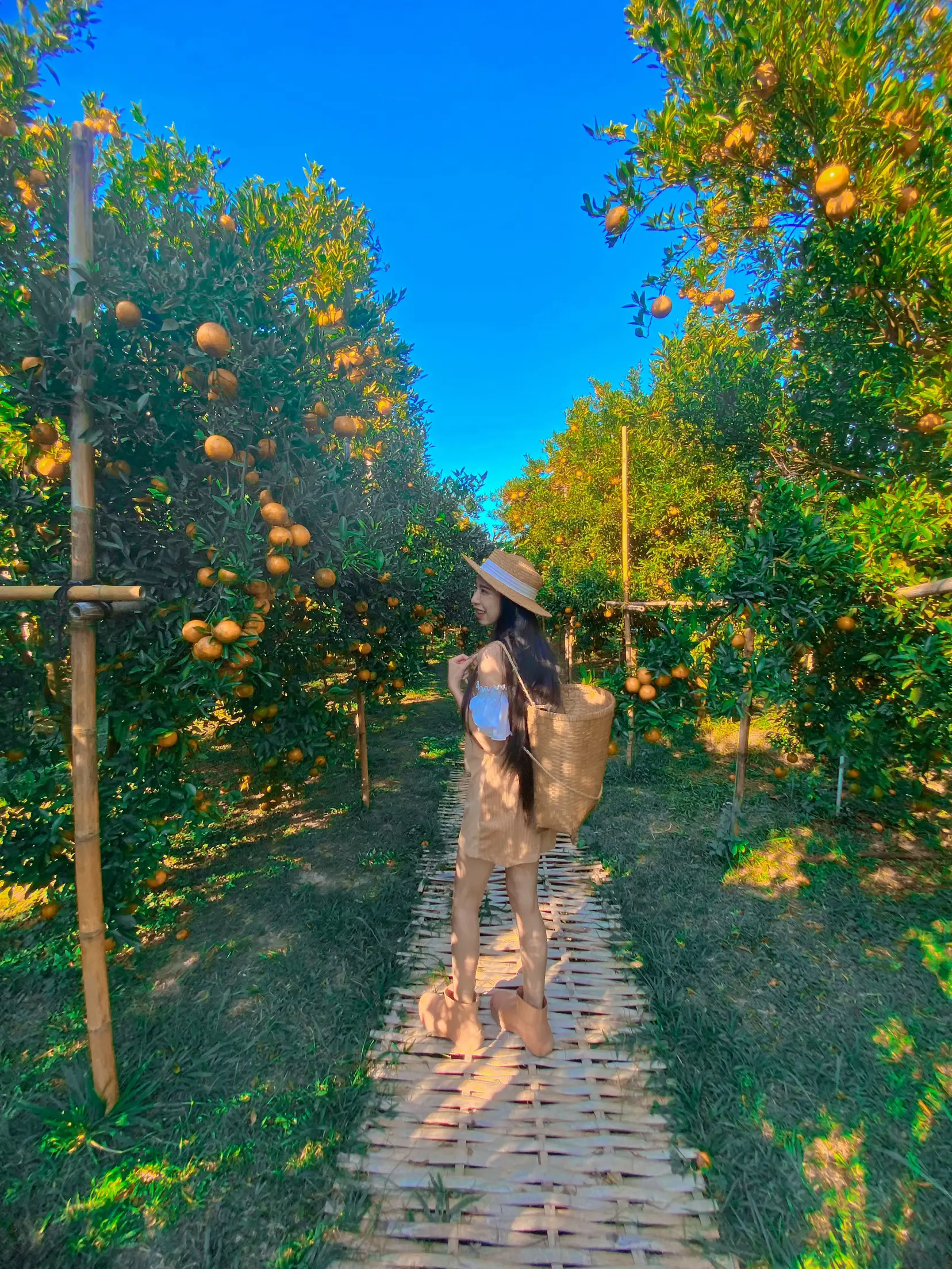 สวมส้ม จ.เชียงใหม่ 🍊 | แกลเลอรีที่โพสต์โดย Bai'Mint☘️ | Lemon8