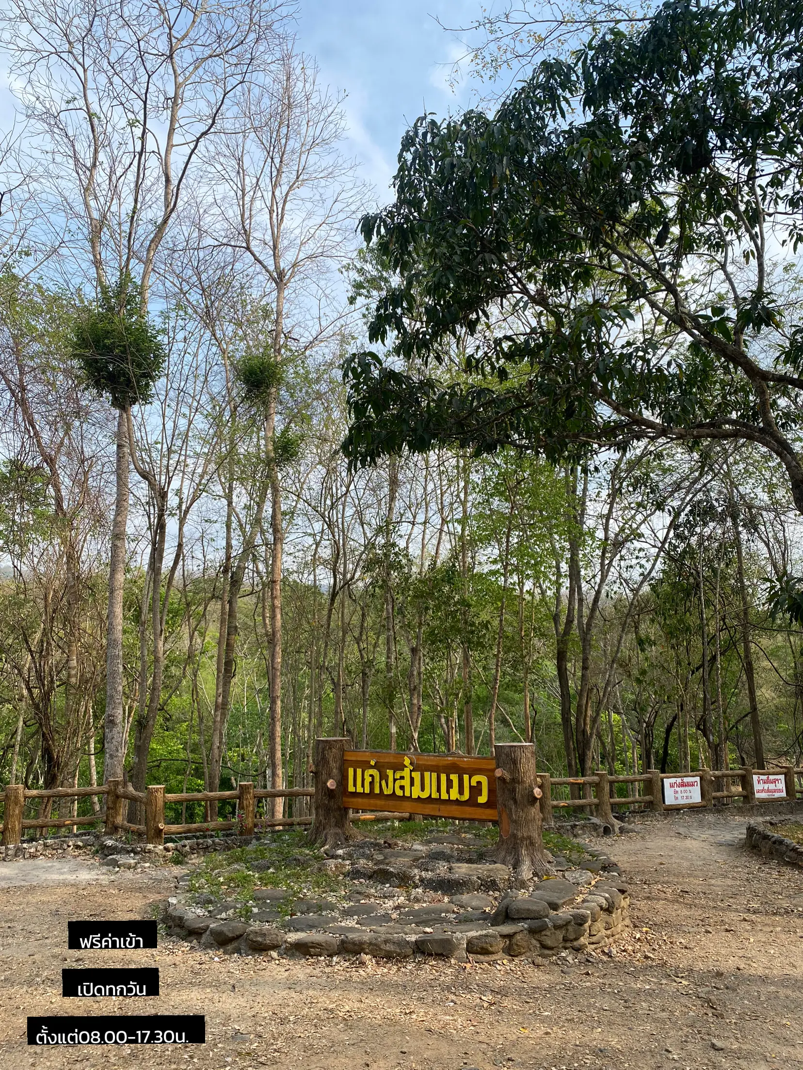 เที่ยวน้ำตกยังไงให้ได้รูป🌳💦🦚🌈🏕️ | แกลเลอรีที่โพสต์โดย ptc.98 | Lemon8