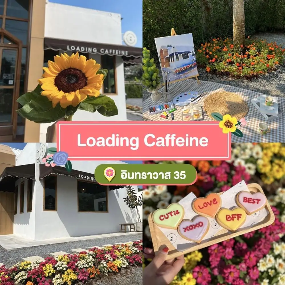 🌸 A total of 15 flower cafes. A spectacular sweet girl. 💐 No, no, no ...
