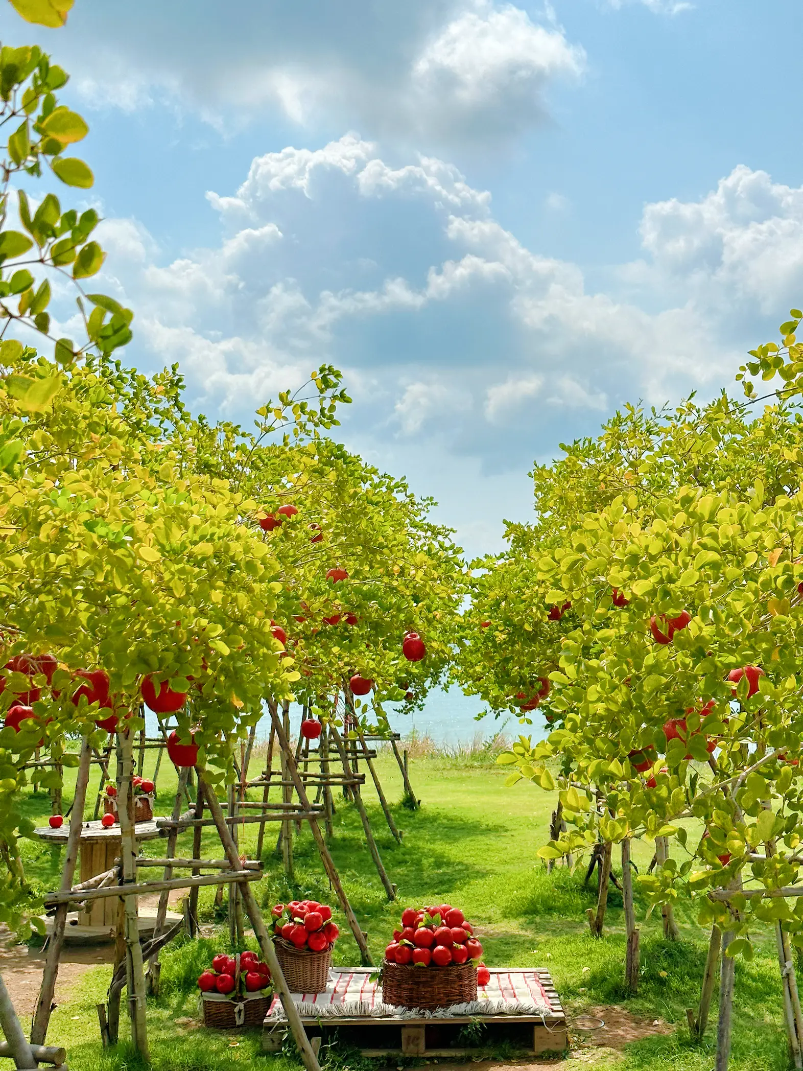 Papa Beach Pattaya 🍎🌊 | แกลเลอรีที่โพสต์โดย lbzero | Lemon8