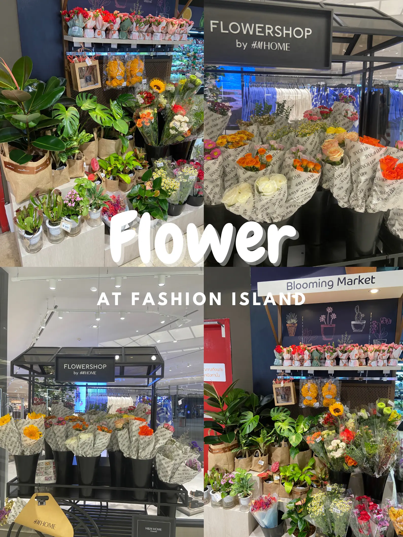Fashion island มีดอกไม้สดขายแล้วนะ🥺🫶🏻 | แกลเลอรีที่โพสต์โดย nn | Lemon8