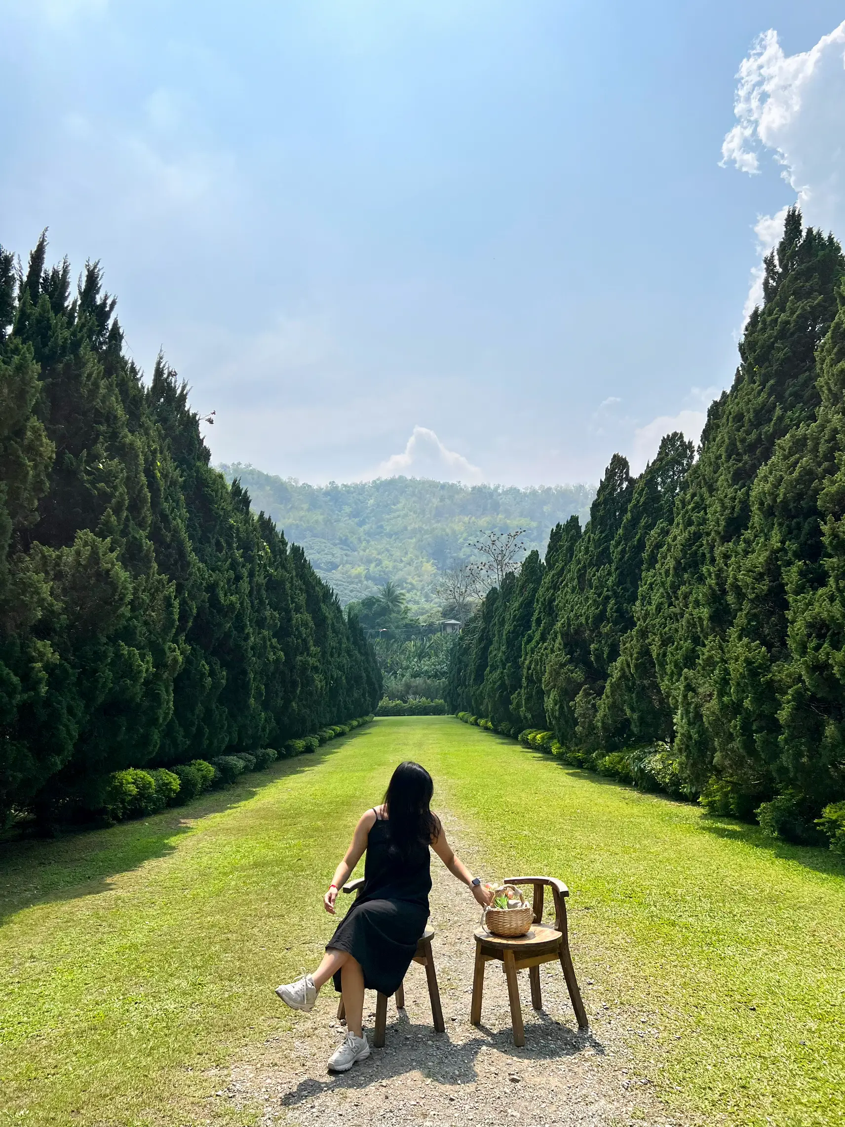 Cypress Lanes 🌲 📍Chiang Mai | Gallery posted by Beautyy. | Lemon8