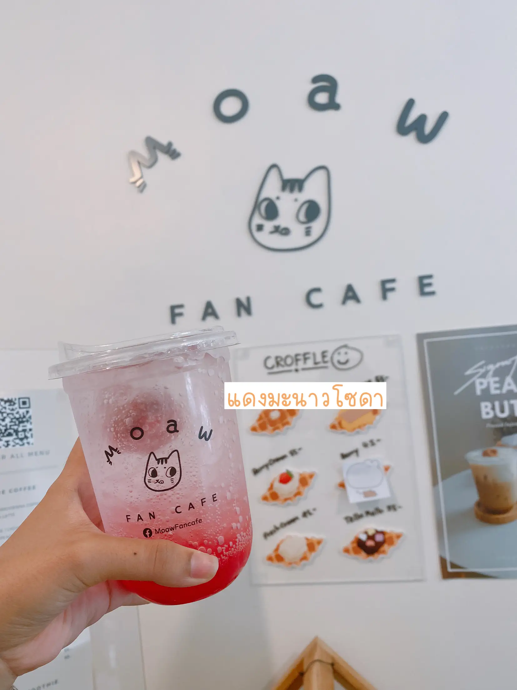 Moaw fan cafe🍰 | แกลเลอรีที่โพสต์โดย janpynx_ | Lemon8