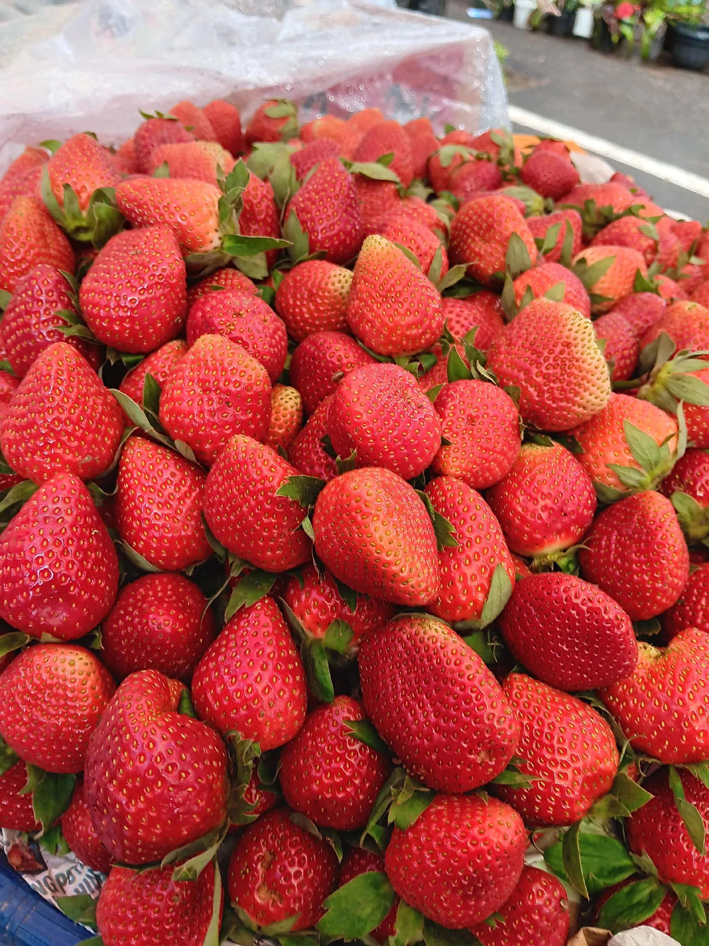 like a strawberry scent go awa | Gallery posted by Ayu Yunita | Lemon8