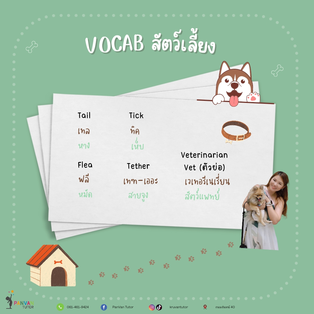 🐶Vocab เกี่ยวกับสัตว์เลี้ยง | แกลเลอรีที่โพสต์โดย PanVan Tutor | Lemon8