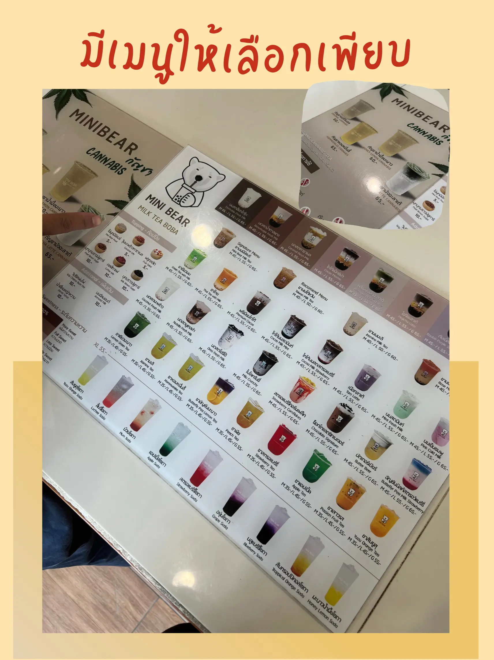 แฟรนไชส์ชานม Mini Bear - การค้นหาใน Lemon8