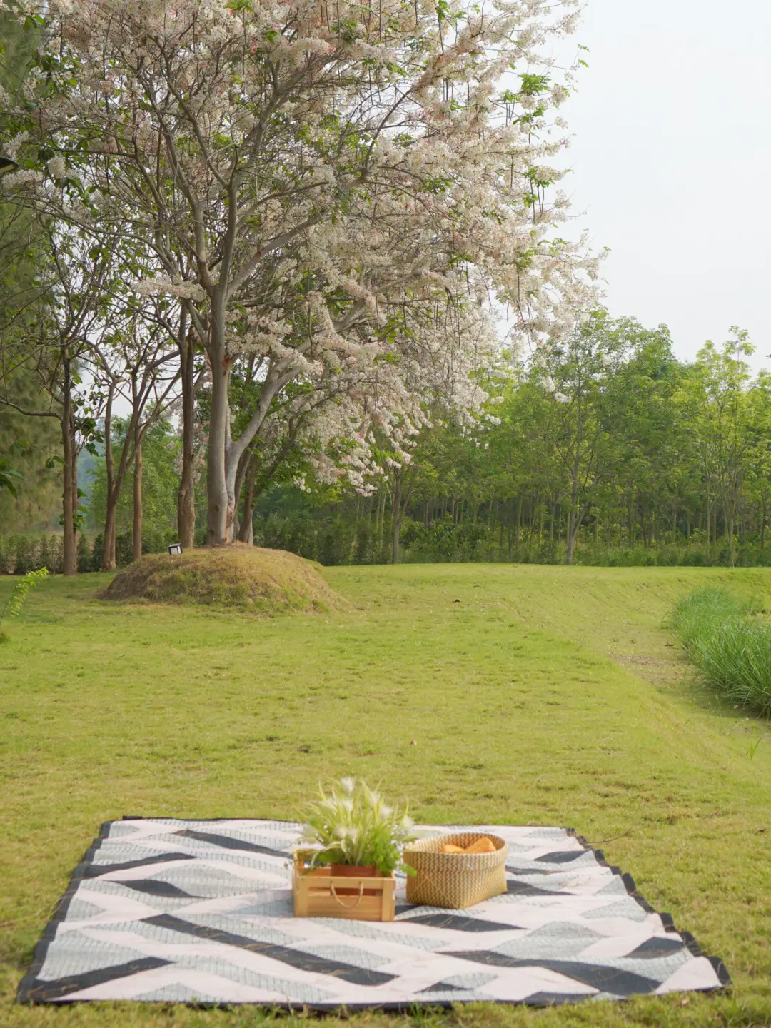 Trio Farm Cafe | #คาเฟ่เปิดใหม่กาญจนบุรี | แกลเลอรีที่โพสต์โดย Let's Go ...