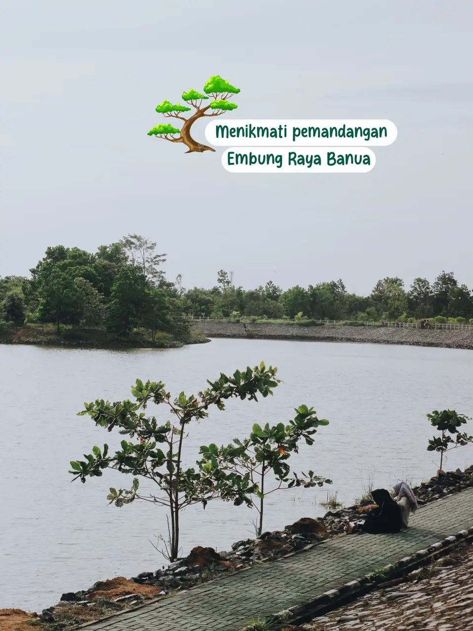 🌻 Kebun Raya Banua 🌻 | Galeri diposting oleh Karisma Melati | Lemon8