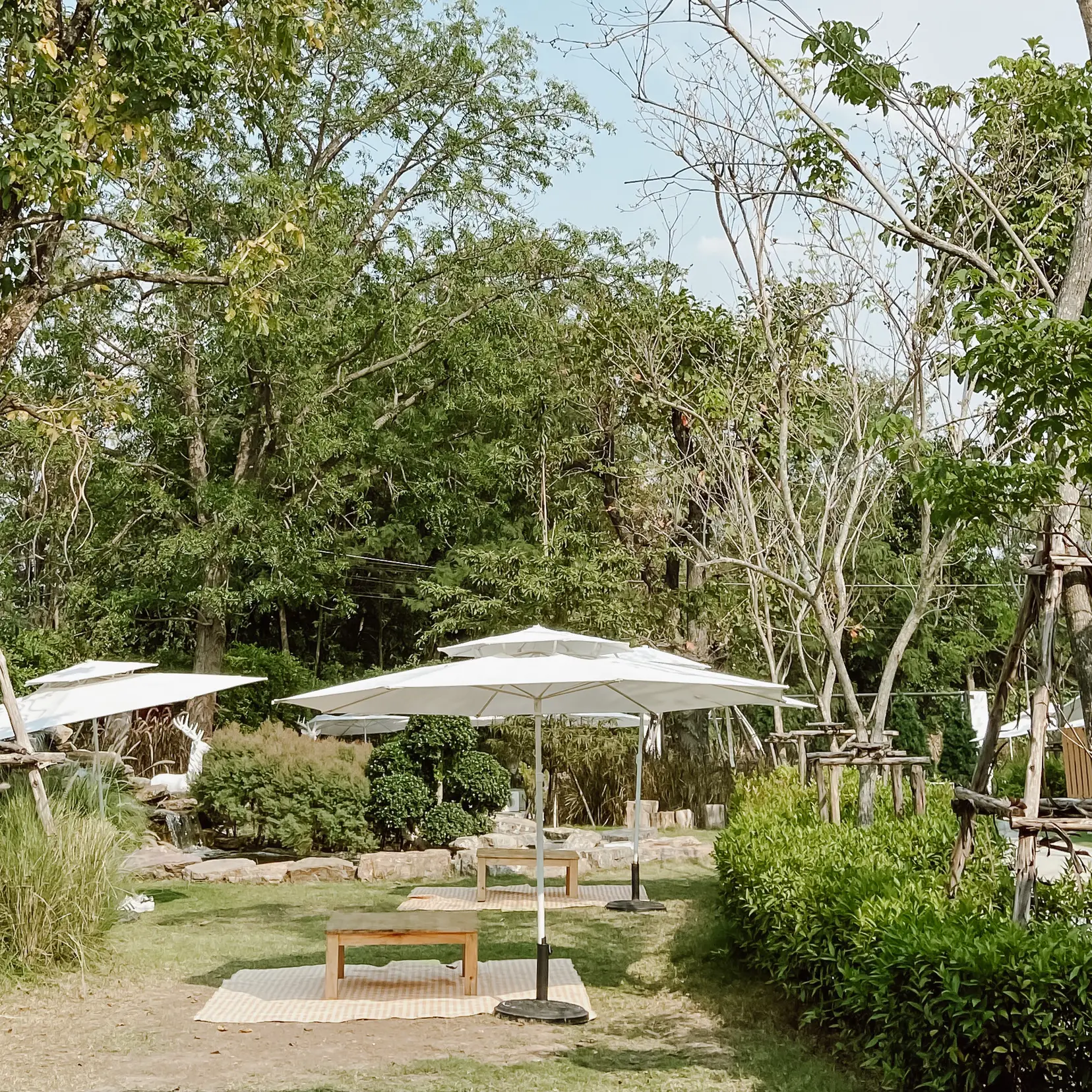 ‧₊˚ 𝐖 𝐂𝐚𝐟𝐞 ˚₊‧ คาเฟ่มินิมอลชานเมืองโคราช ที่น้องหมาเข้าได้ | แกลเลอรีที่โพสต์โดย Mewniz ̈ | Lemon8