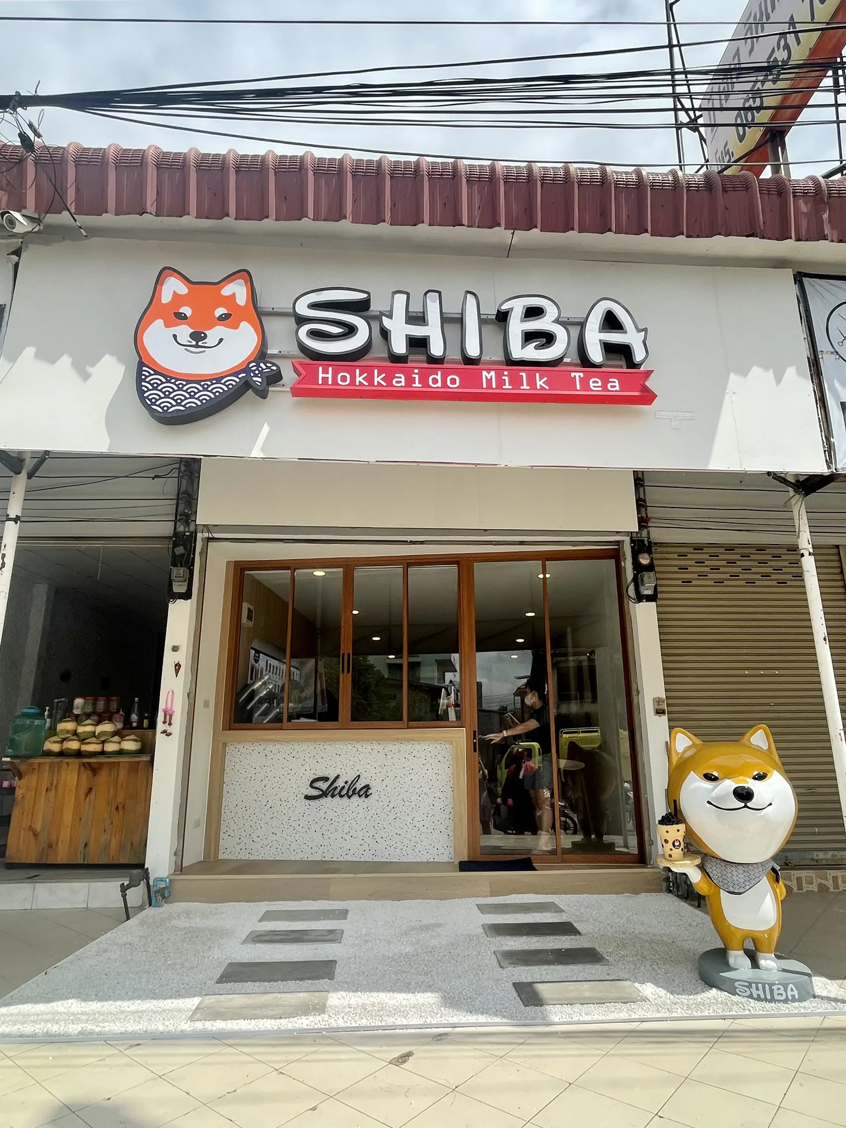 ชานมไข่มุก น้อง 🐶ที่ Shiba Hokkaido Milk Tea 🧋 | แกลเลอรีที่โพสต์โดย ...