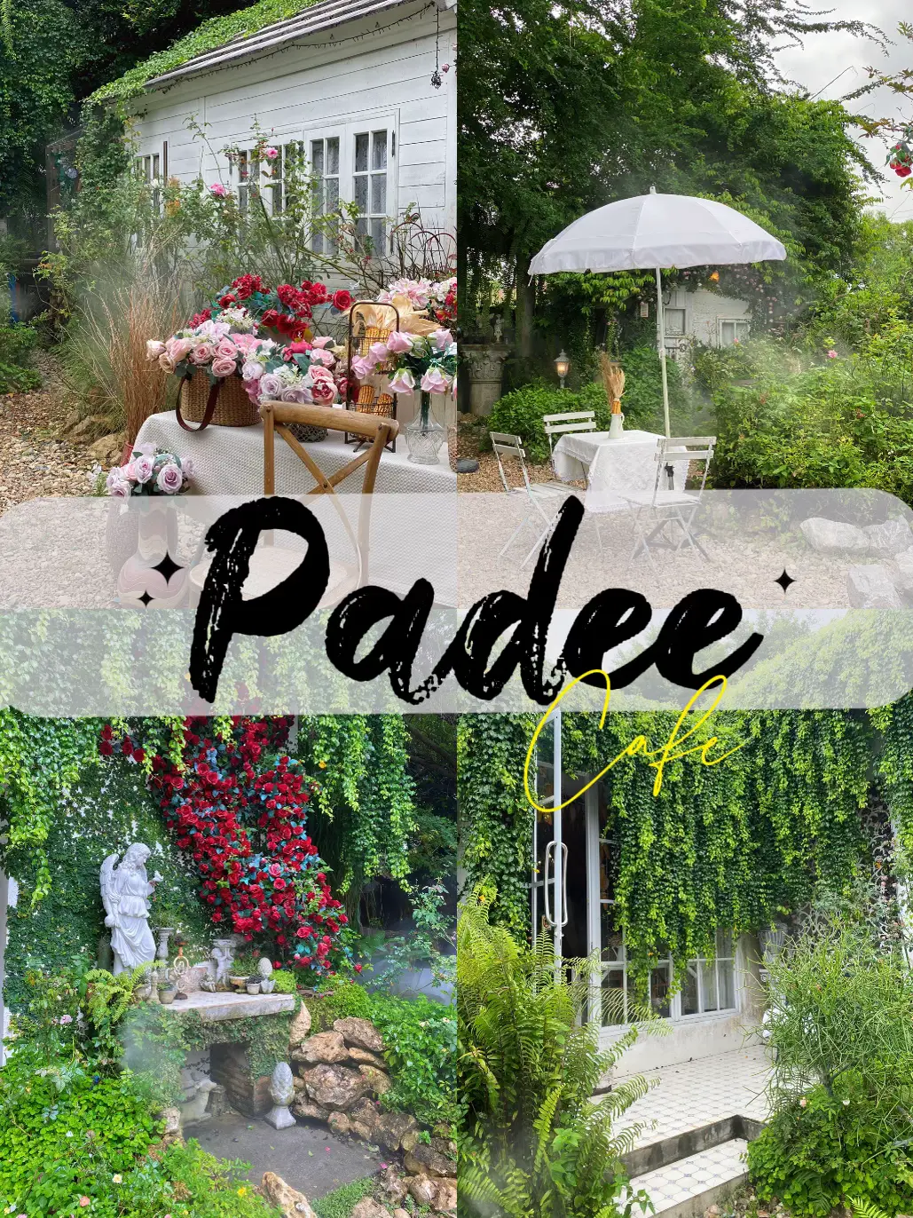 Padee cafe | ระยอง | แกลเลอรีที่โพสต์โดย Paxpon | Lemon8