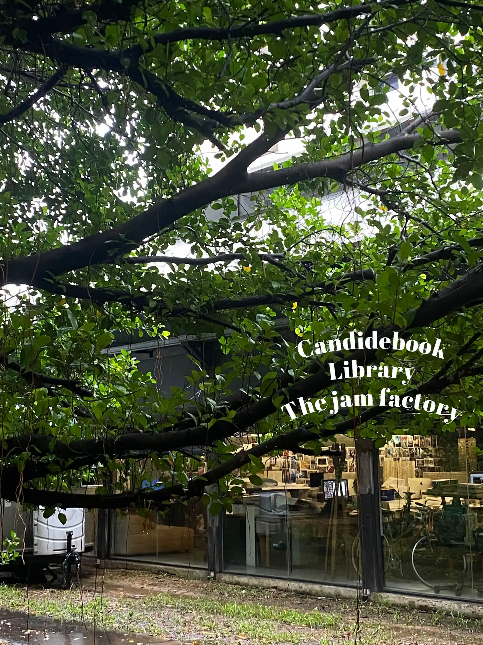 Candidebook Library The jam factory 🤍 | แกลเลอรีที่โพสต์โดย ก็อปปี้เพลส ...