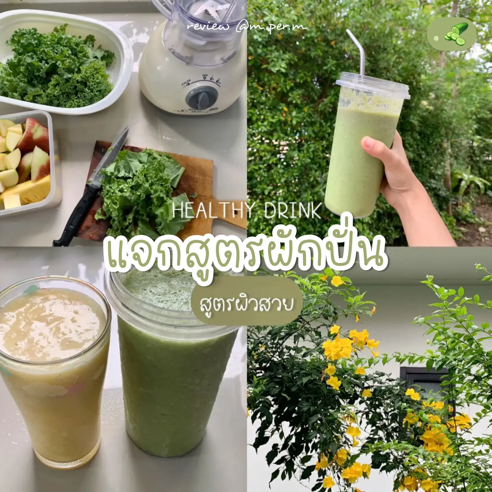 ผักเคล (Kale) ประโยชน์ โทษที่ต้องรู้ และวิธีกินให้ดีต่อสุขภาพ | แกลเลอรีที่โพสต์โดย PloyPloy ...