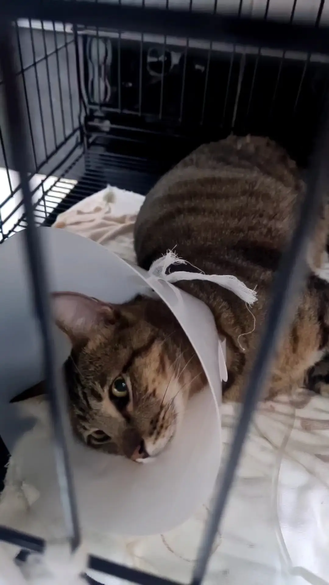 จ๊อดขอกำลังใจหน่อยคับ | วิดีโอที่เผยแพร่โดย Biwty | Lemon8