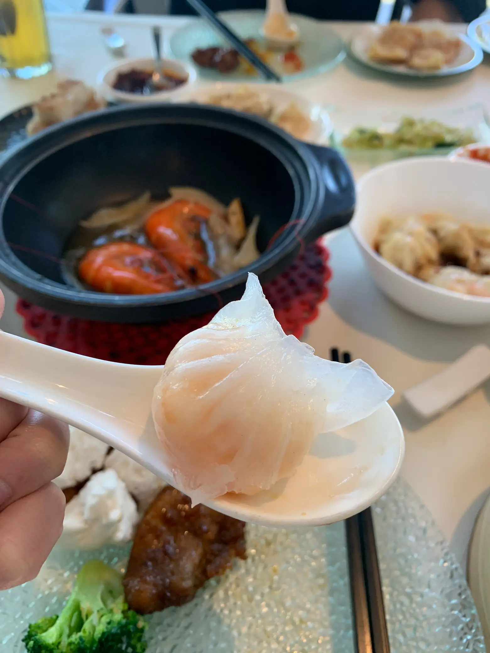 MAJESTIC BAY | dim sum buffet | Gallery posted by alicia ⋆⁺₊⋆ ☁︎ | Lemon8