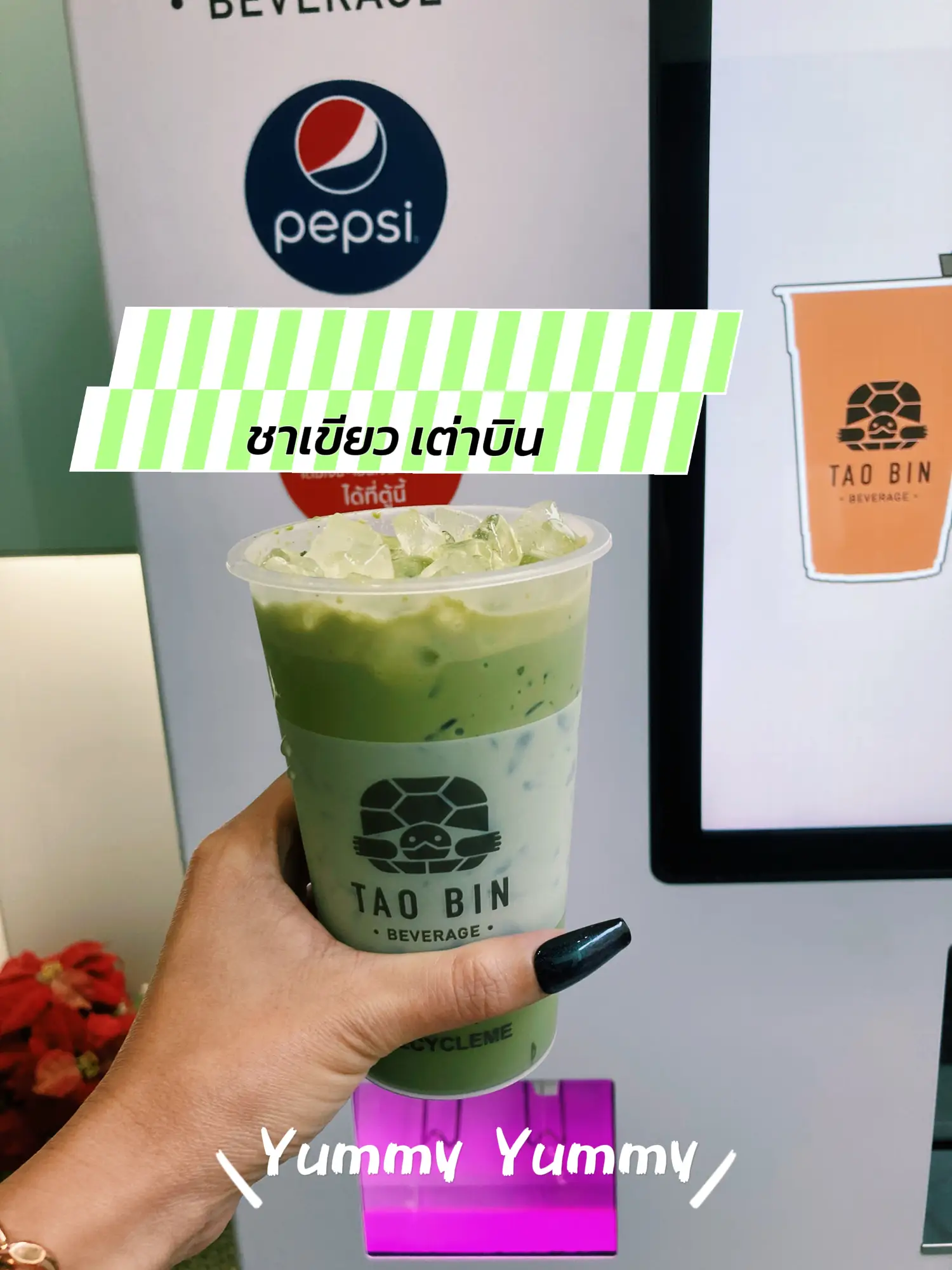 ชาเขียวเต่าบิน 🍵🐢 | แกลเลอรีที่โพสต์โดย mg | Lemon8