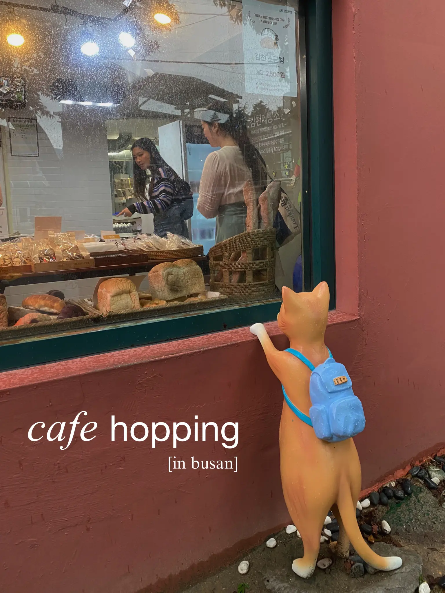 cafe hopping in busan 🌊 | Gallery posted by ˚ ₊ gaby ⁎⁺ | Lemon8