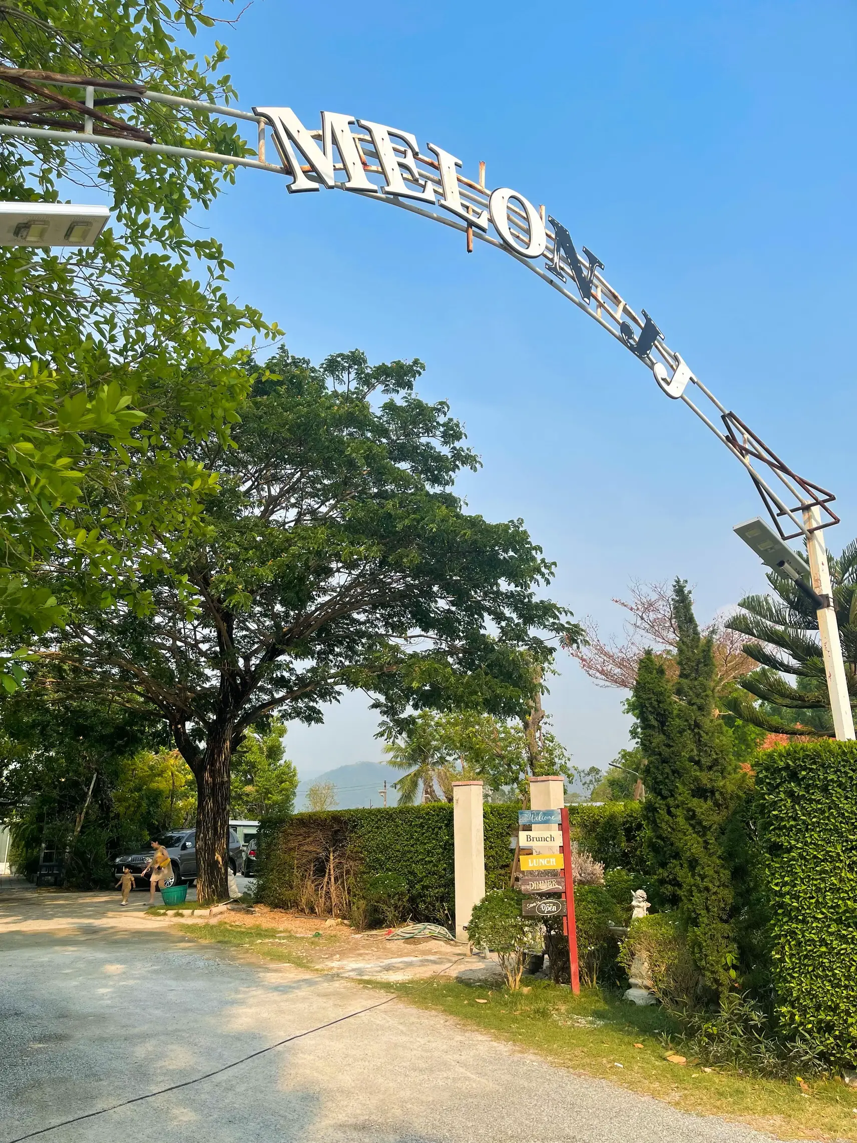 #บางแสน Melon Cafe | คาเฟ่ฟาร์มเมล่อน บรรยากาศดี 🌳🍃 | แกลเลอรีที่โพสต์โดย พลอยแทม💫 | Lemon8