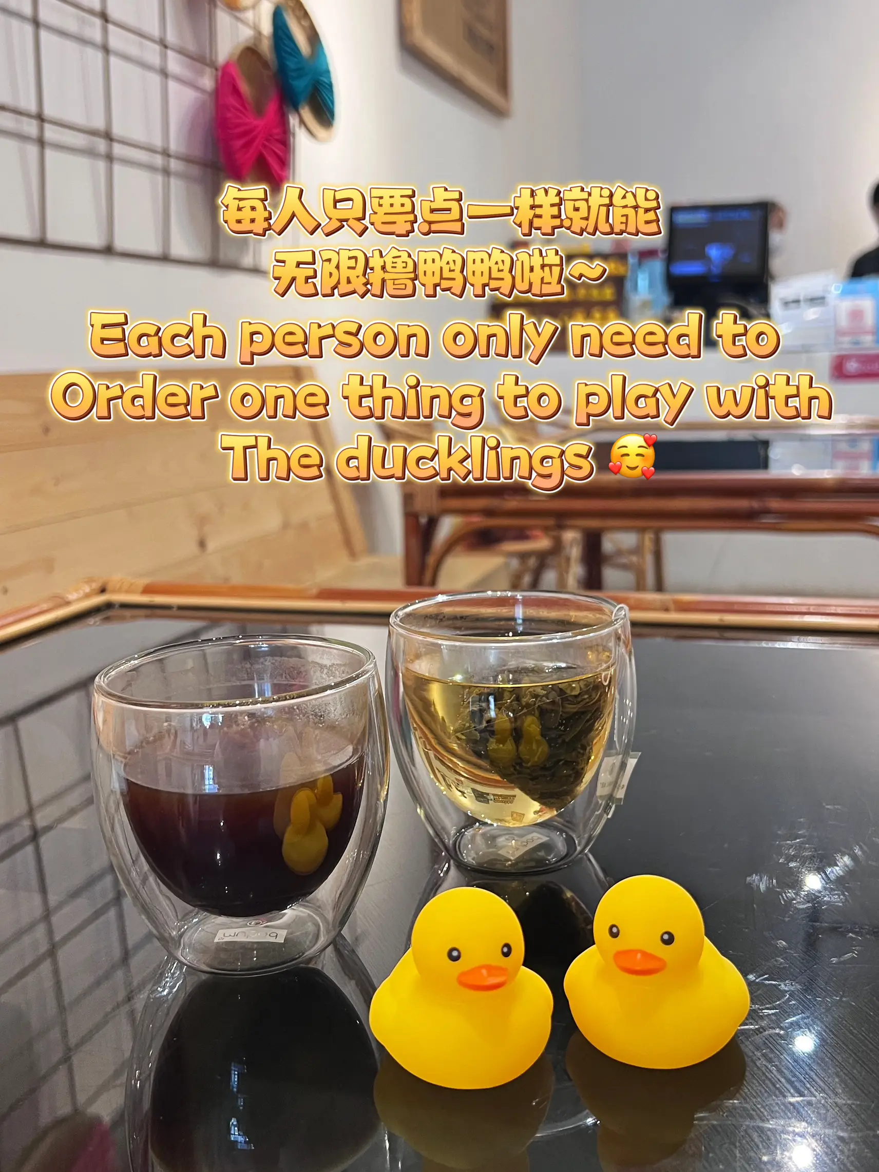 Cole Duck Cafe😍 I can’t stop caressing them!! | Gallery posted by Poppy ...